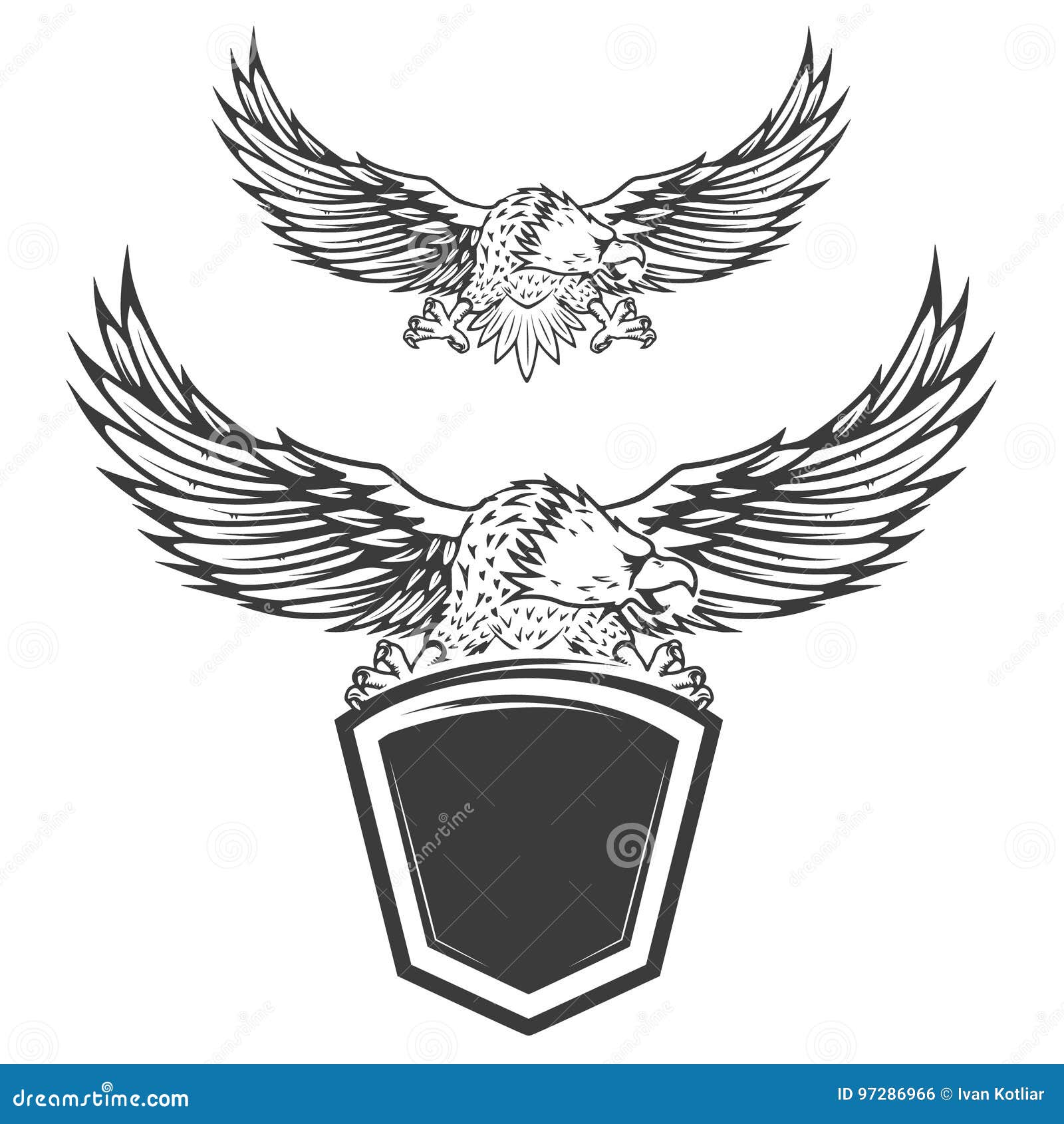 Eagle on Shield Isolated on White Background. Design Element for Stock ...