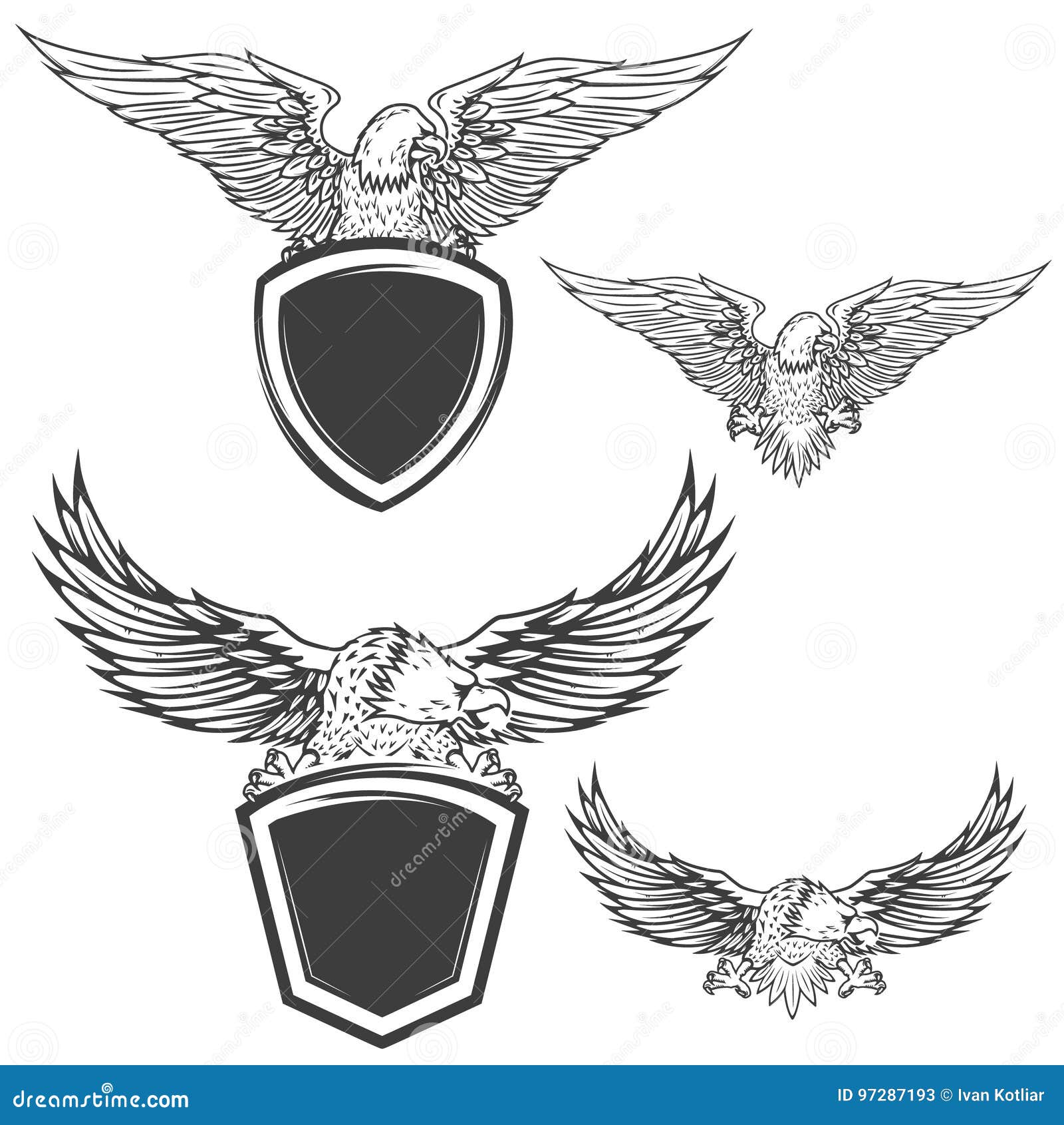 Eagle with Shield on White Background. Design Element F Stock Vector ...