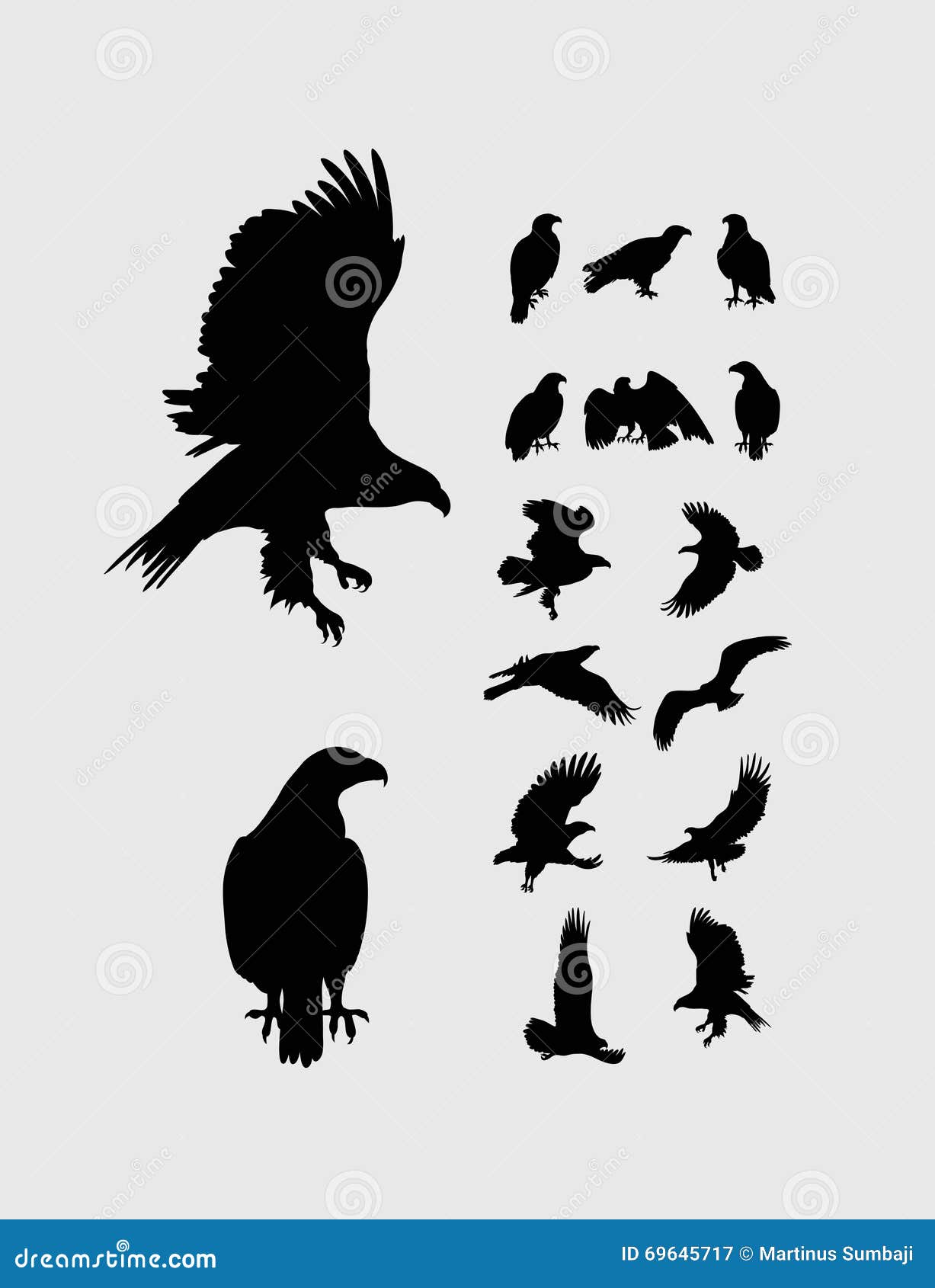 Eagle Silhouettes Collection Stock Vector - Illustration of silhouettes ...