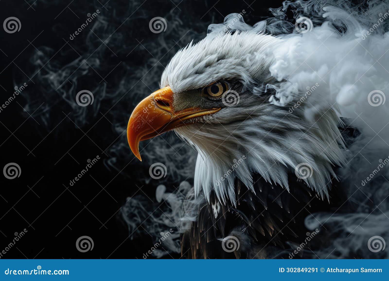 Eagle on Smoke Background, Eagle Fantasy Art Background Stock Image ...