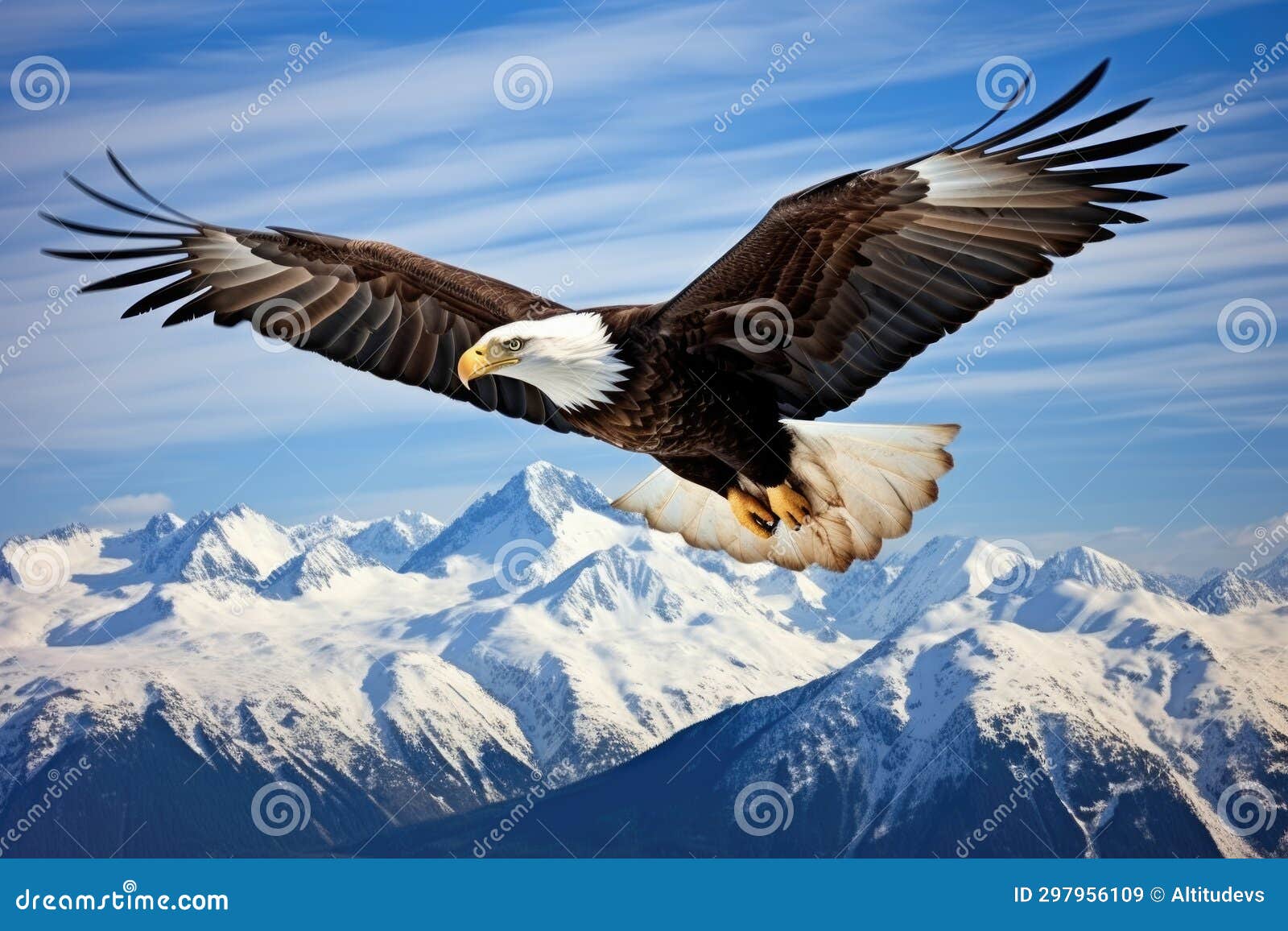 An Eagle Soaring Above a Mountain Range Stock Image - Image of aerial ...