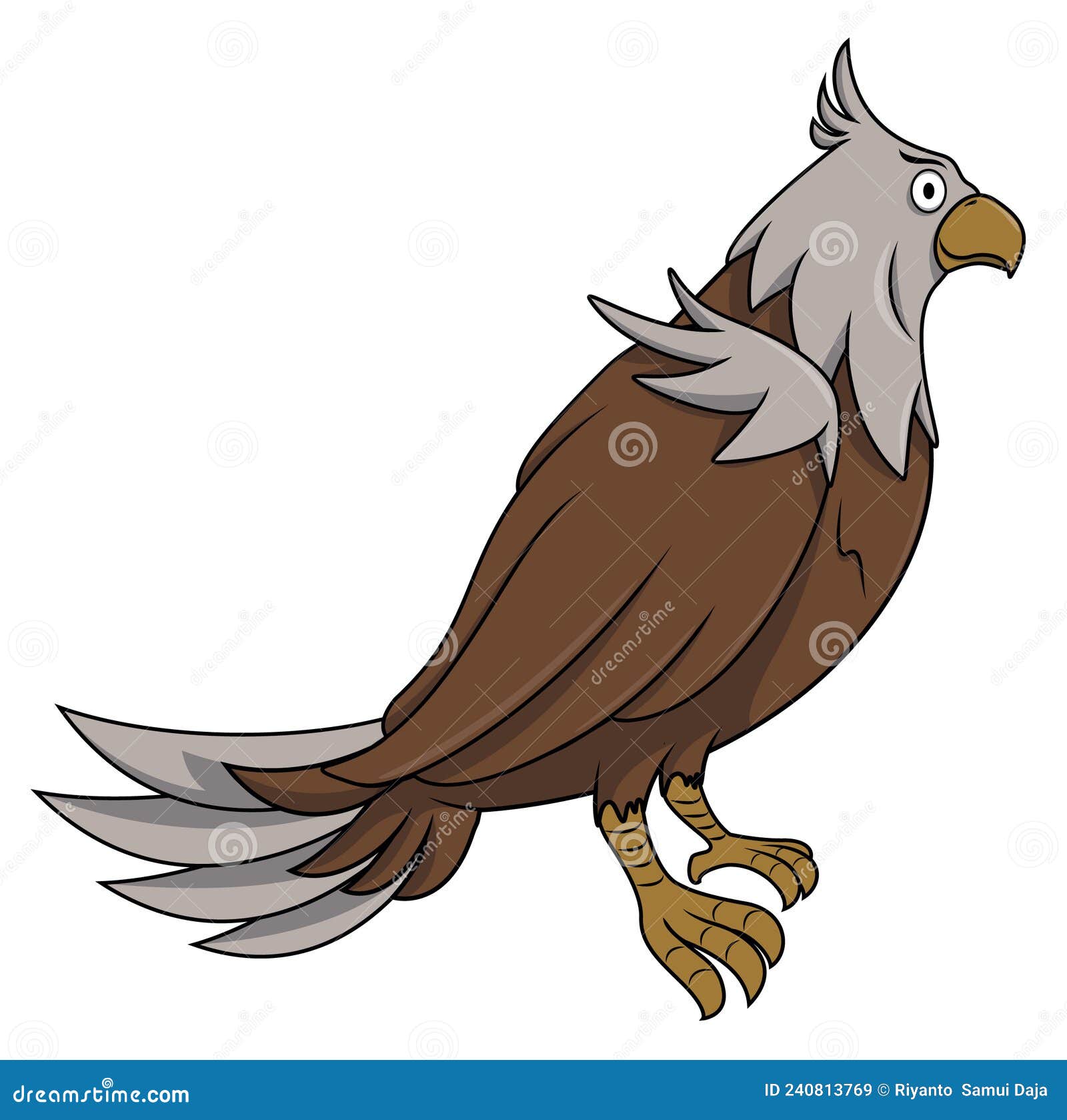 Eagle Standing Forward Color Illustration Stock Vector - Illustration ...