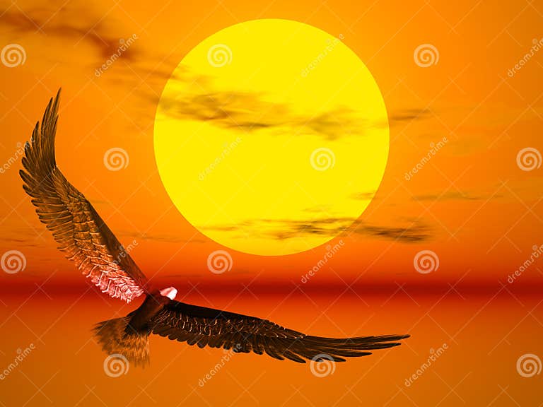 Eagle in the sun stock photo. Image of claws, landscape - 2815716
