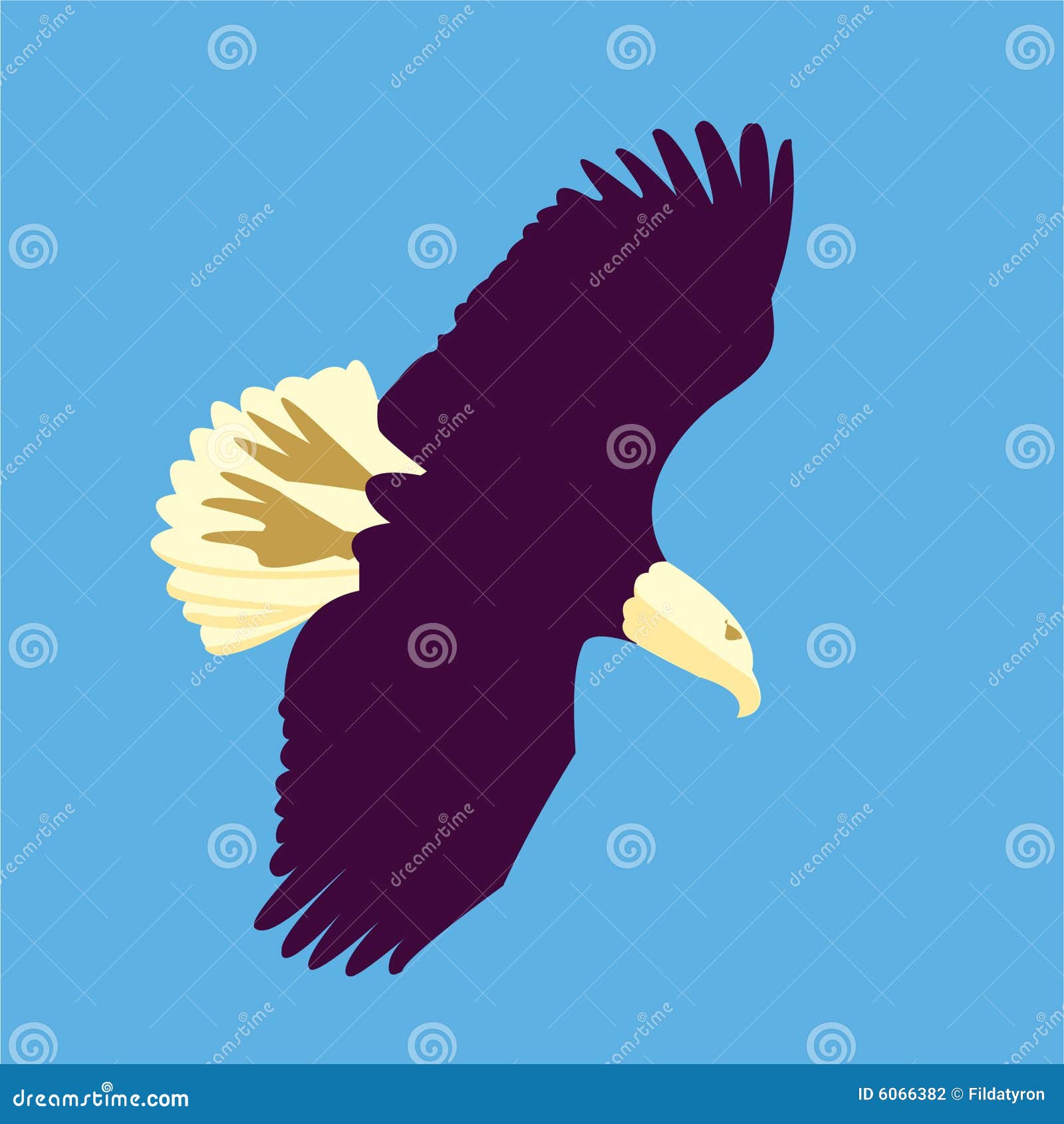 Eagle Vector Picture. Image: 6066382