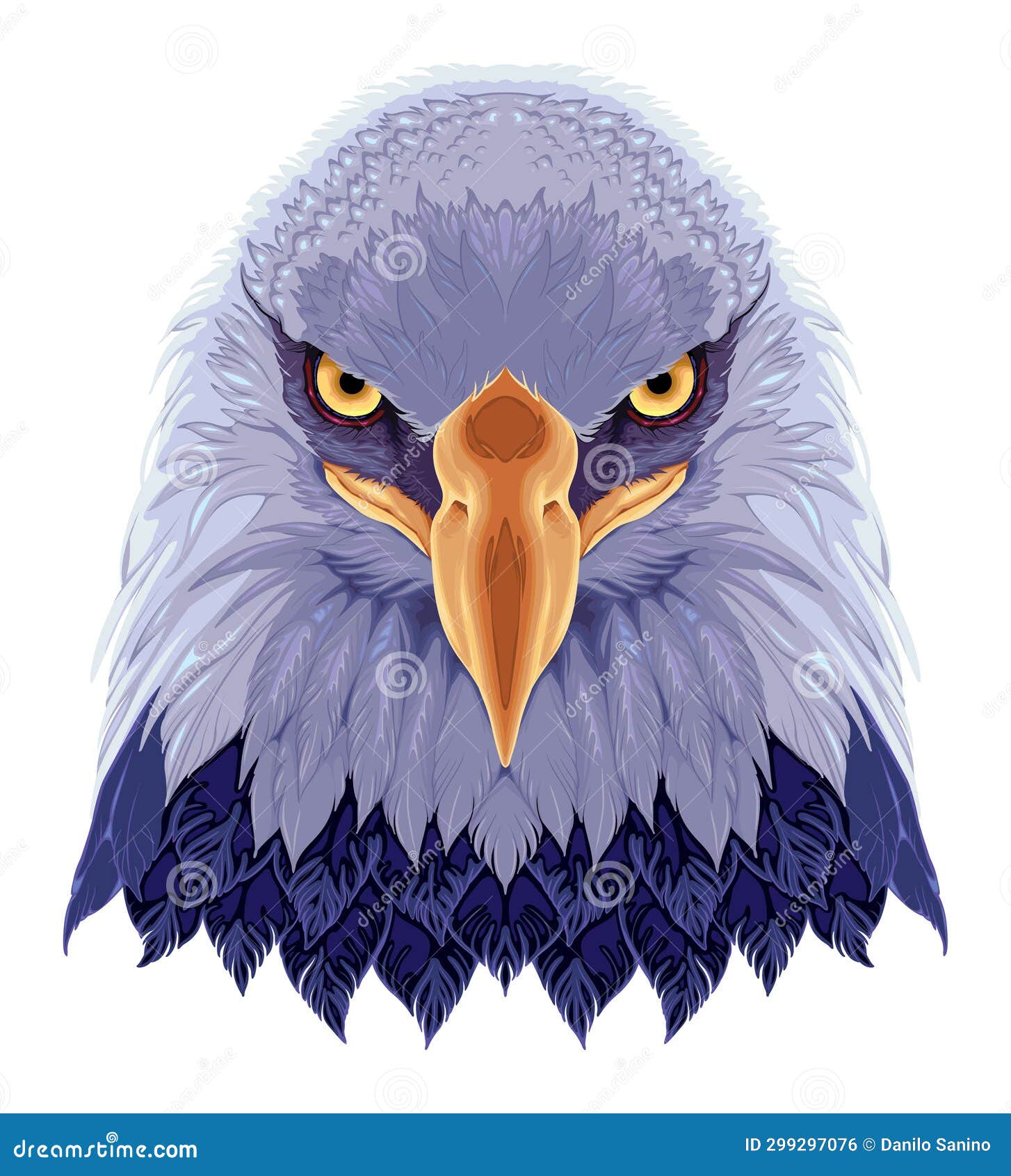 Eagle Frontal View, Vector Isolated Animal Stock Illustration ...