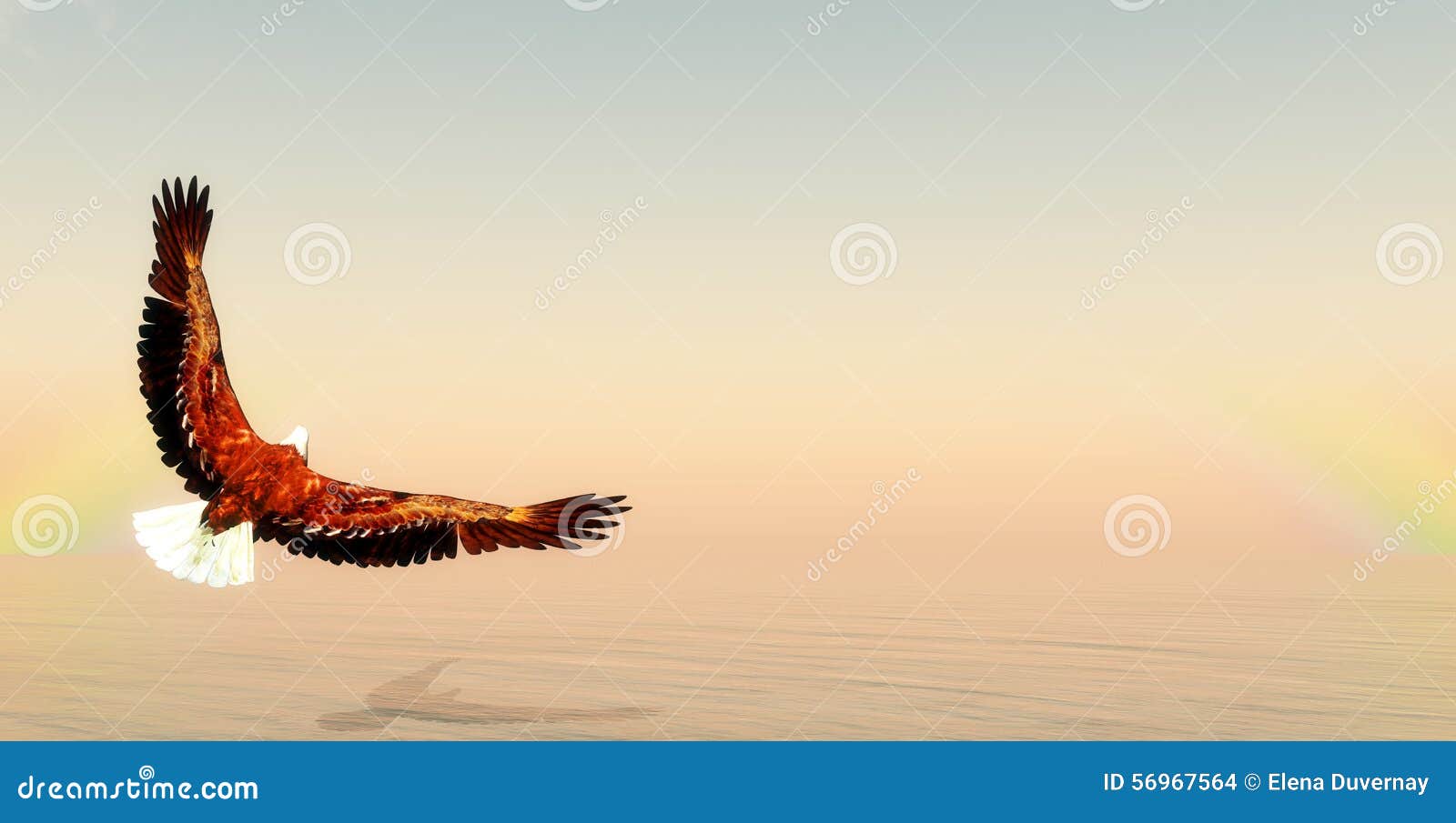 Eagle volant - 3D rendent illustration stock. Illustration du matin ...