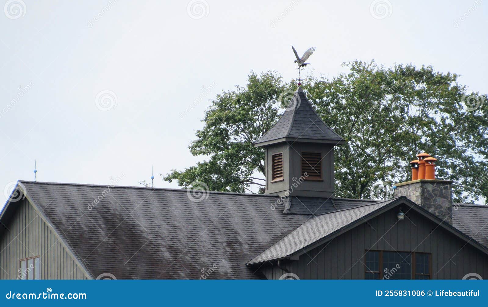 Eagle weathervane stock photo. Image of building, tower - 255831006