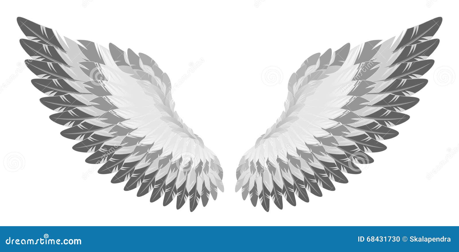 Eagle wing stock vector. Illustration of decorative, nature - 68431730