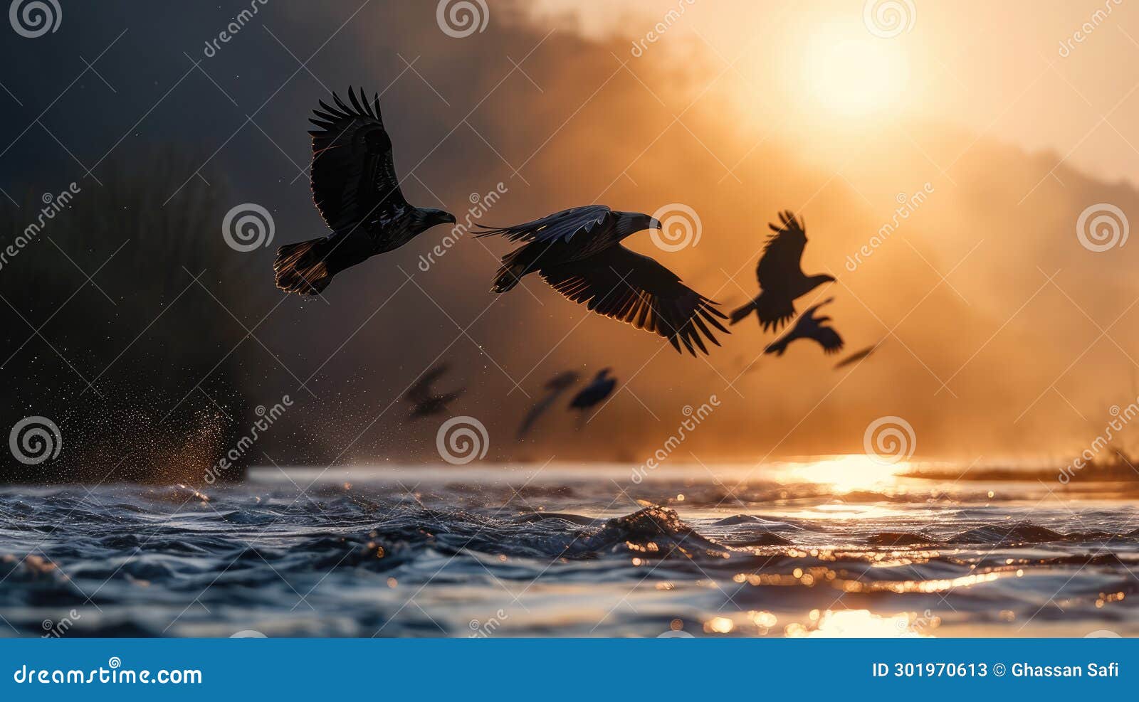 Eagles Flying Out of Water and Hovering at Dawn Stock Illustration ...