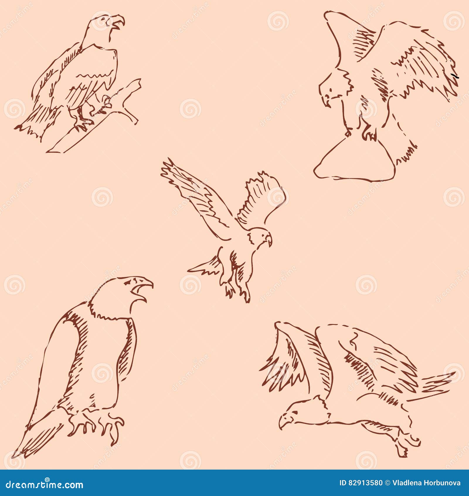 Eagles. Sketch Pencil. Drawing By Hand. Vector | CartoonDealer.com ...