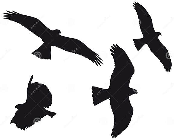 Eagles (vector) stock vector. Illustration of eagle, bird - 2921224