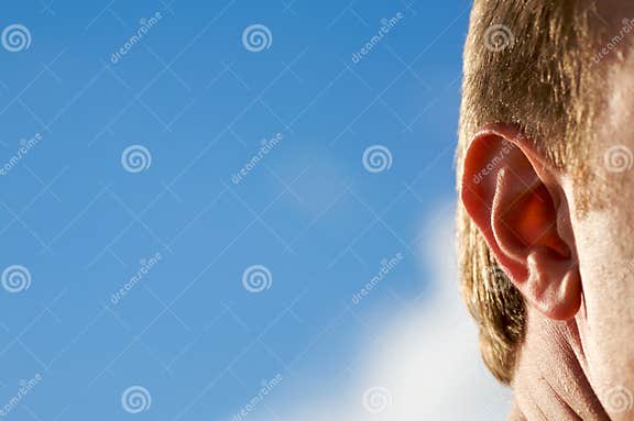 Ear stock image. Image of head, listen, cloud, hear, people - 5647927