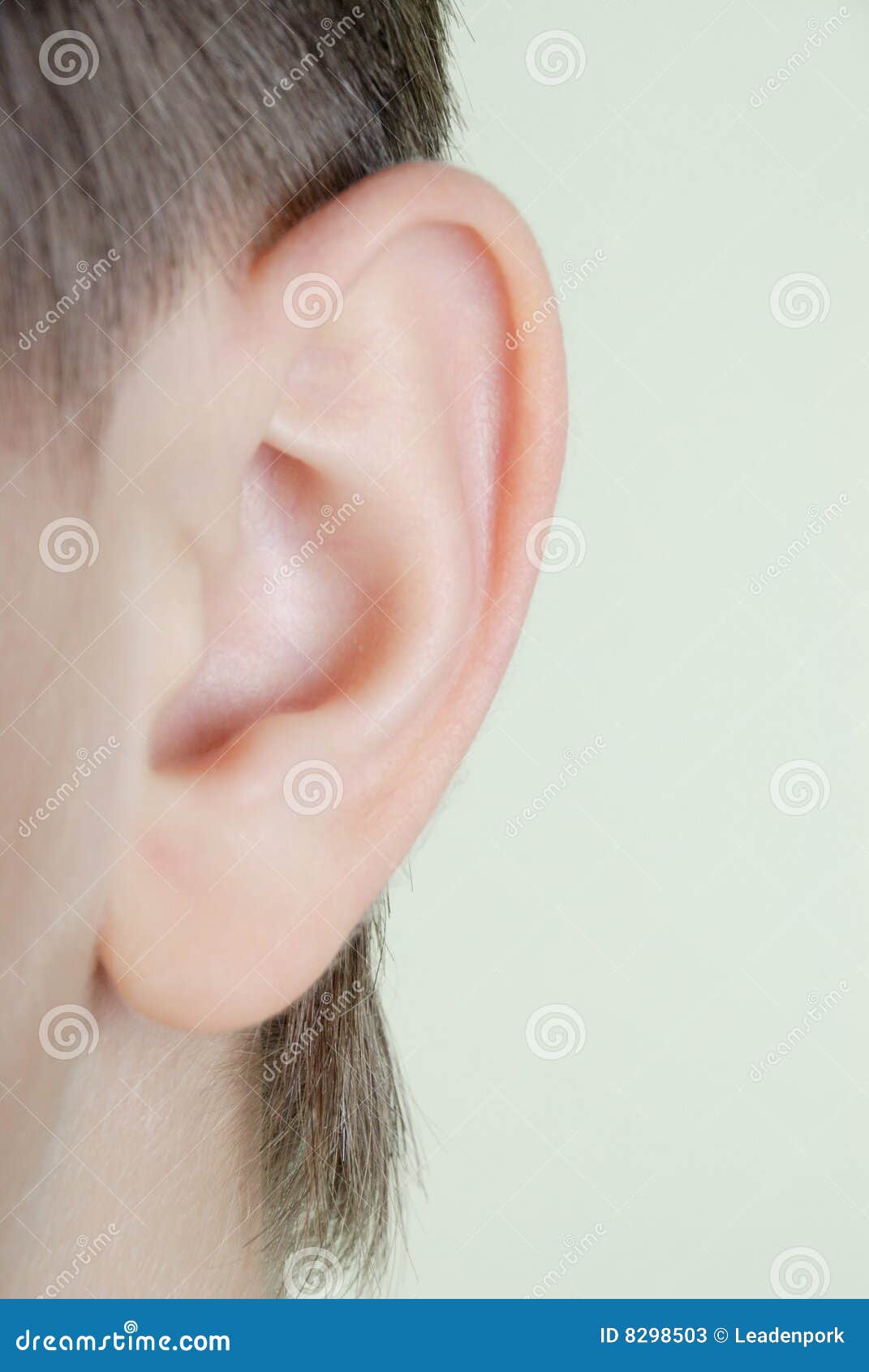 Ear stock image. Image of person, close, young, minor - 8298503