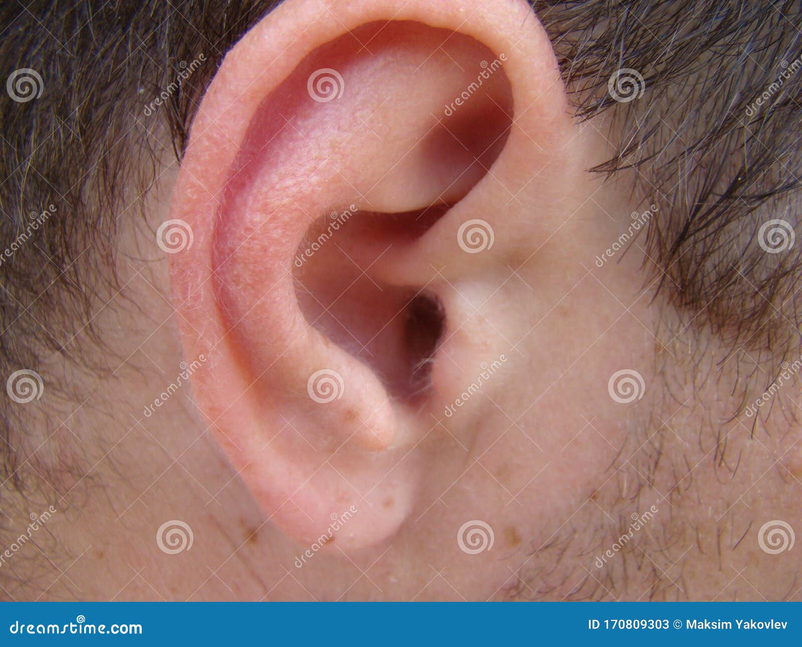 Ear stock image. Image of lobe, organs, tragus, outer - 170809303