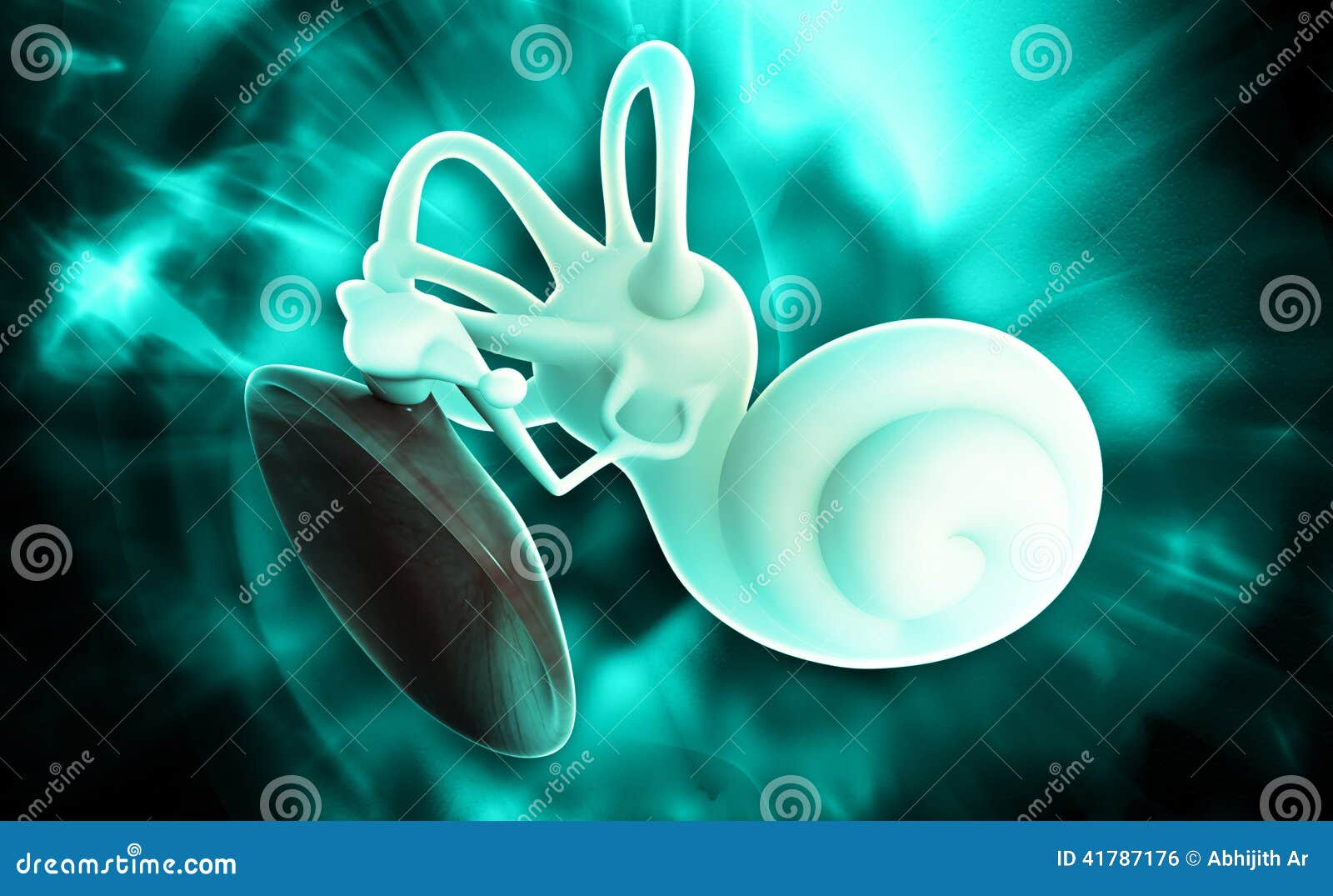 Ear anatomy stock illustration. Illustration of eustachian - 41787176