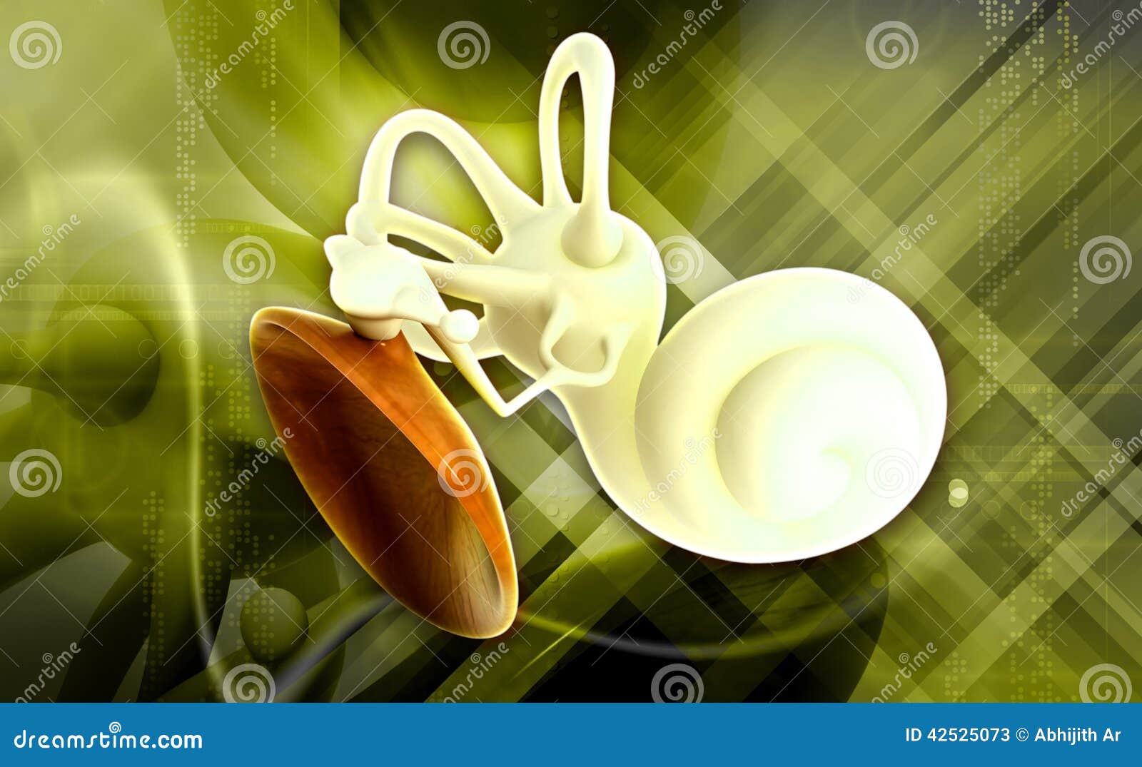 Ear anatomy stock illustration. Illustration of care - 42525073