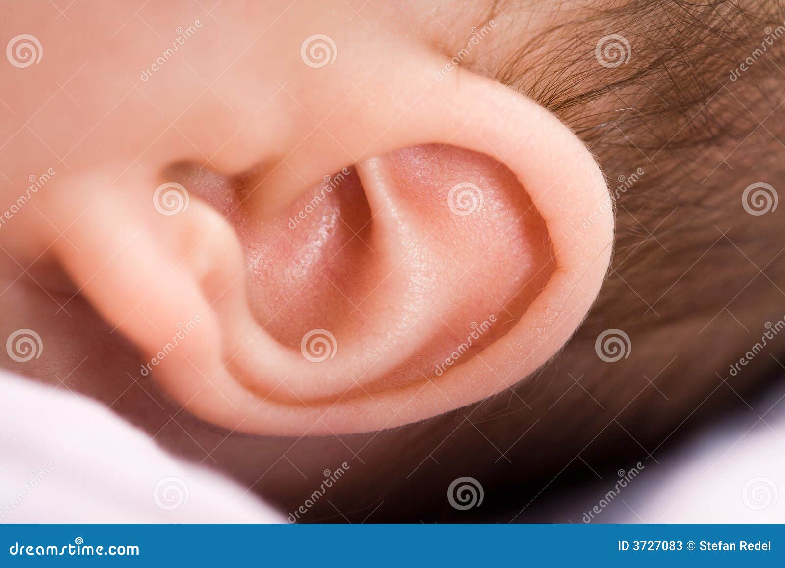 Ear of a baby stock image. Image of infant, suckling, baby - 3727083