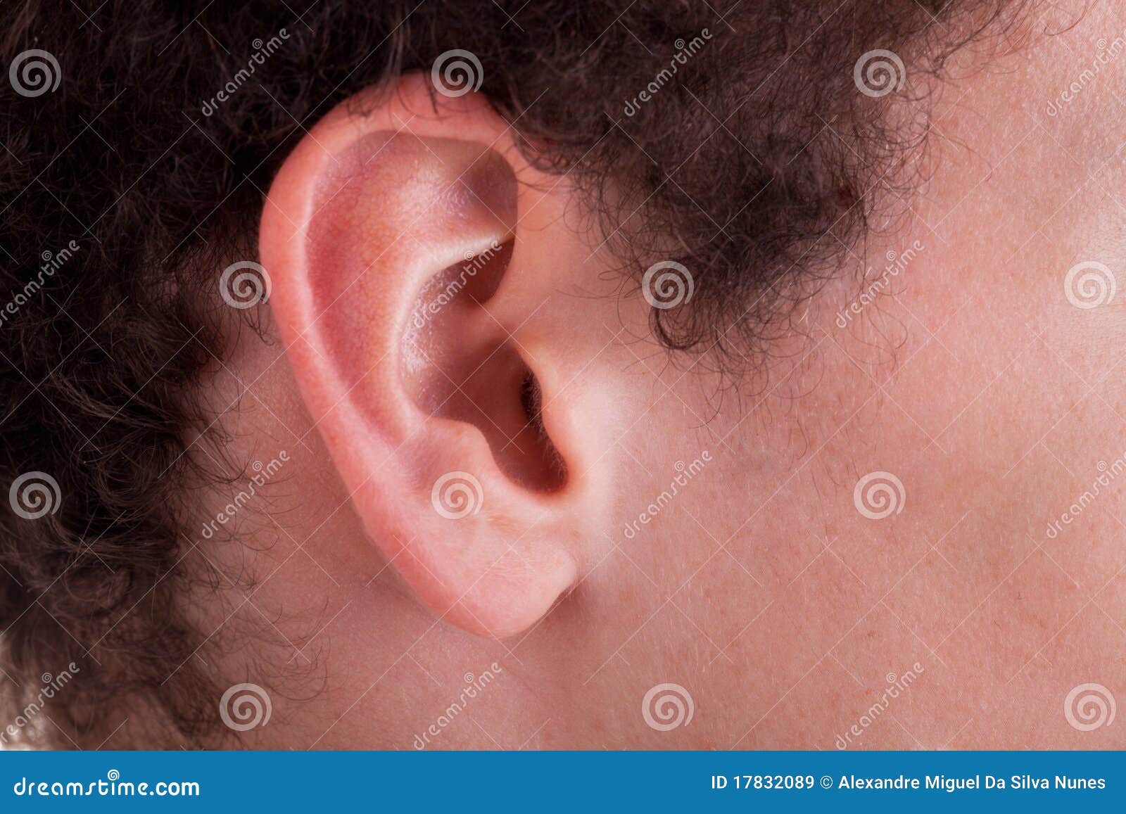 Ear of a boy stock image. Image of macro, lady, healthy - 17832089