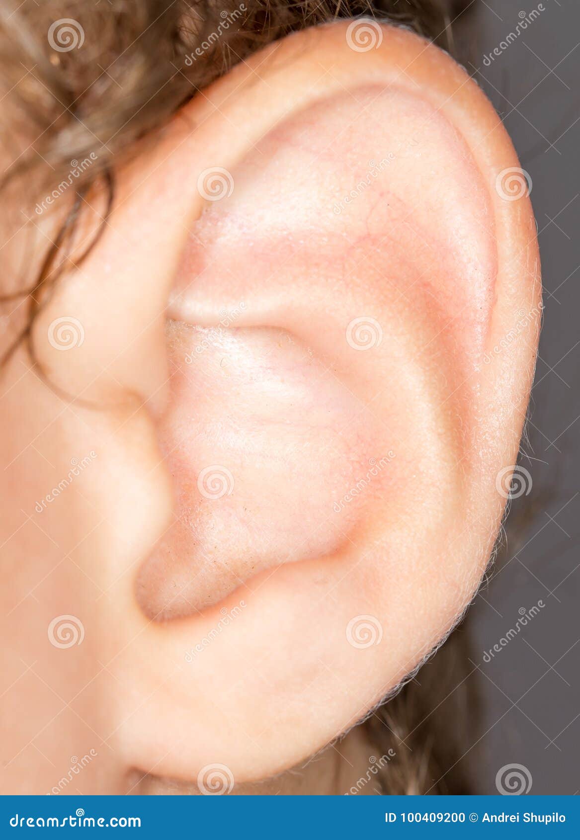 Ear of a boy stock photo. Image of isolated, closeup - 100409200