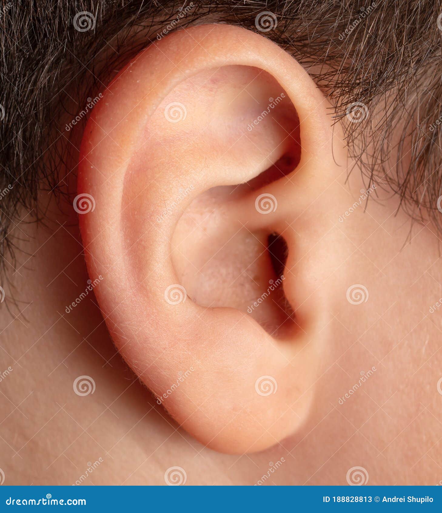 Ear on the boy’s head stock image. Image of male, medicine - 188828813