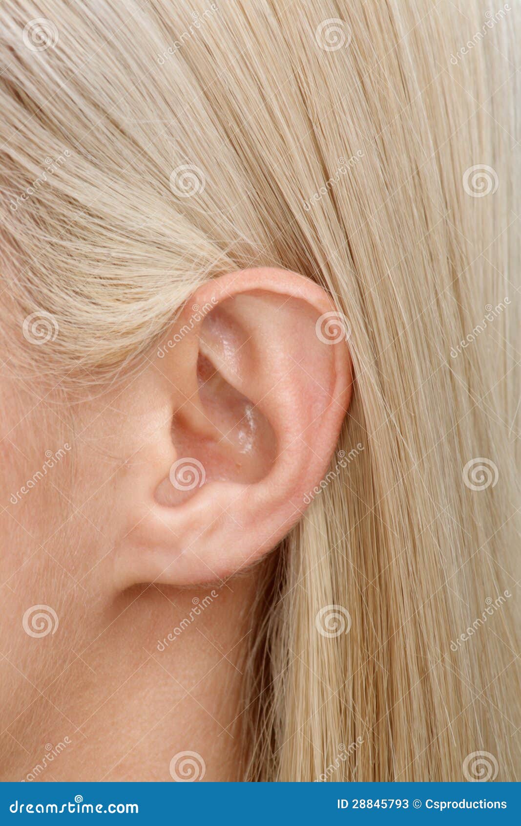 Ear close-up stock image. Image of pretty, adult, medical - 28845793