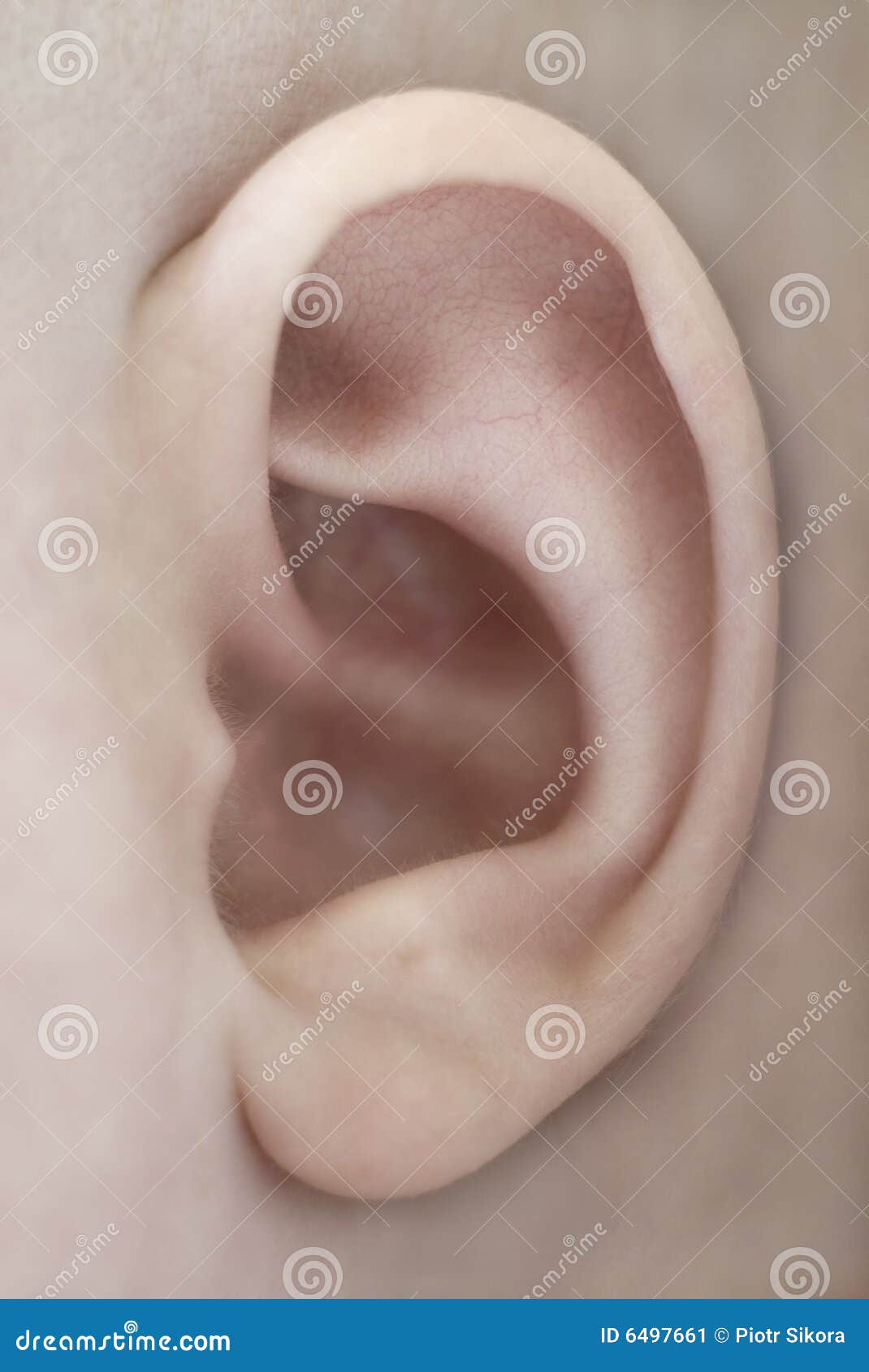 Ear closeup stock image. Image of listening, human, hear - 6497661