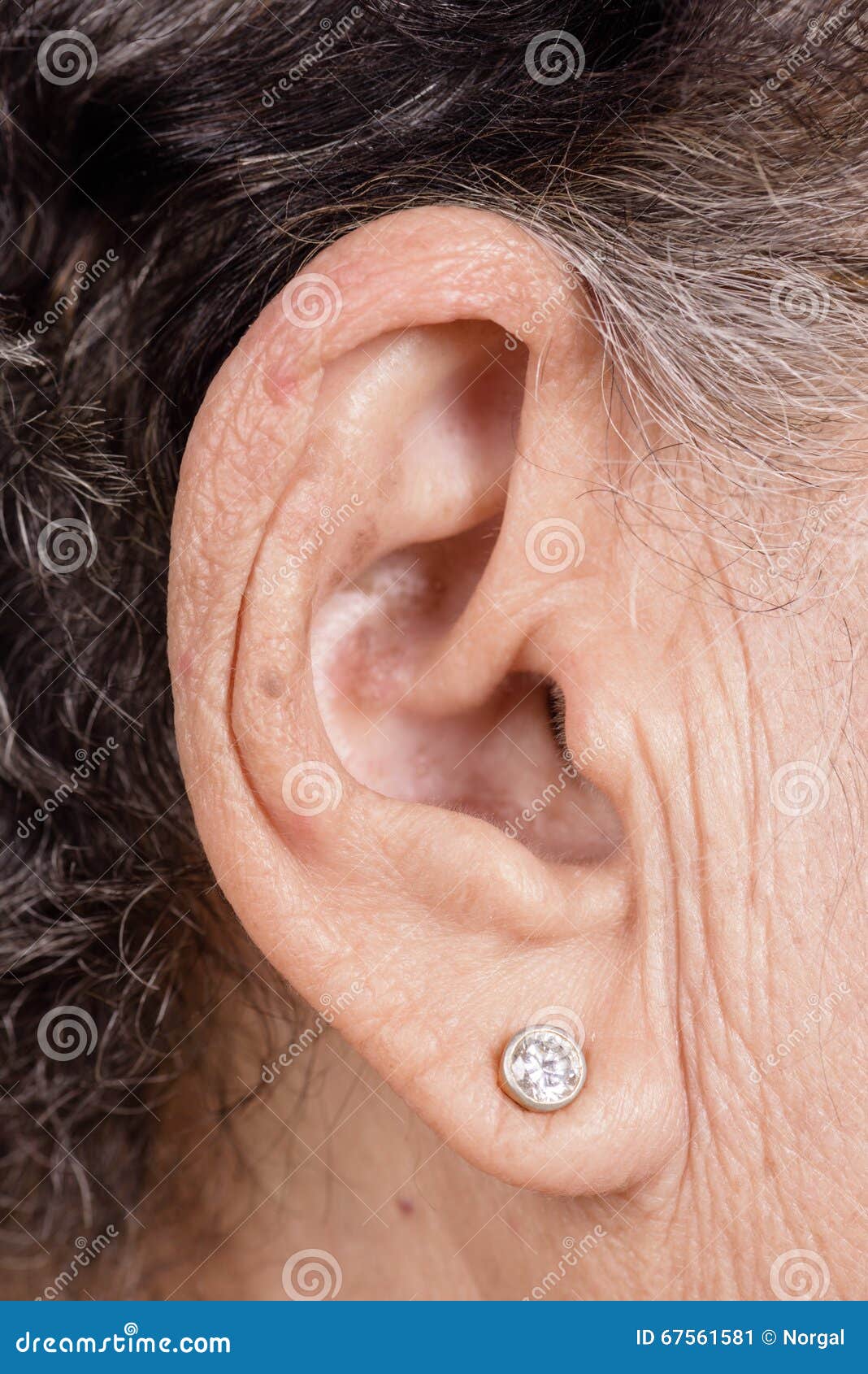 Ear stock image. Image of human, elderly, hear, aged - 67561581