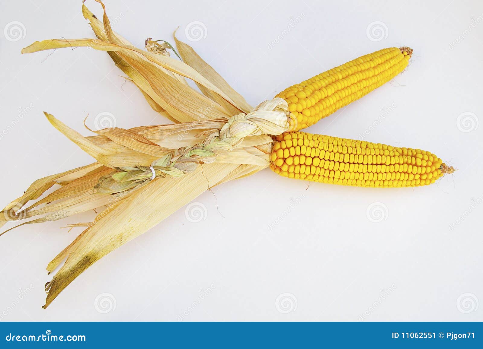 Ear of corn stock image. Image of nutrition, nature, butter - 11062551