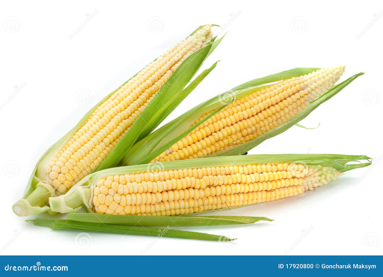 Ear of Corn stock photo. Image of peel, shucked, vegetable - 17920800