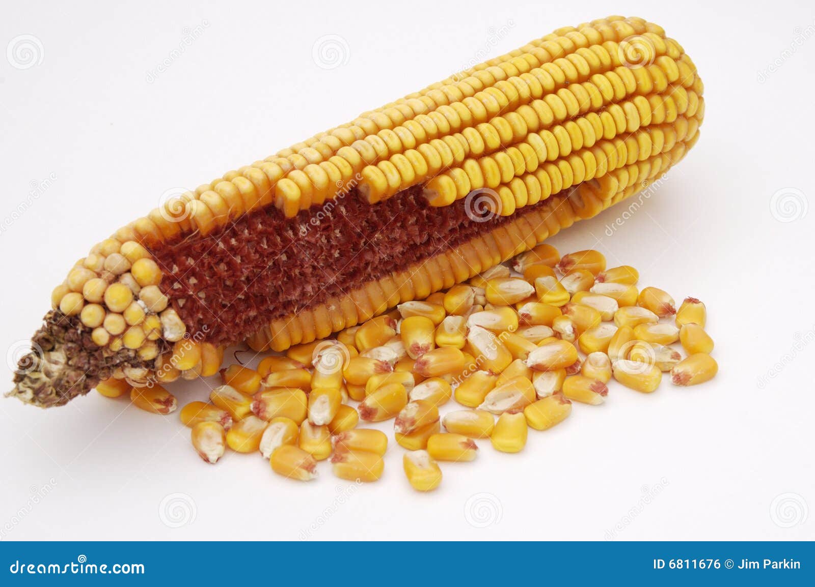 Ear of Corn 3 stock photo. Image of fuels, kernel, farming - 6811676