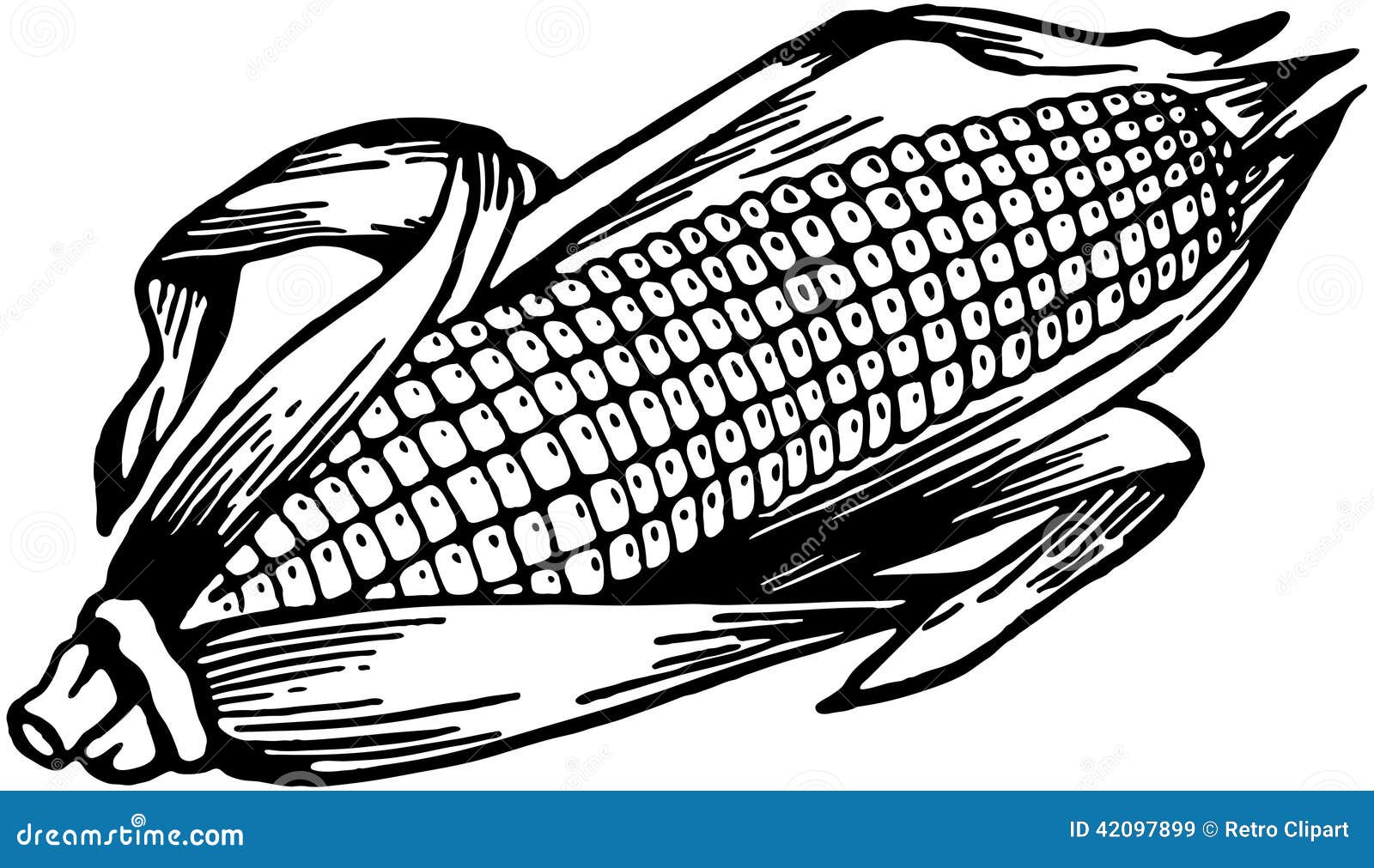 Ear of Corn stock vector. Illustration of retro, clipart - 42097899