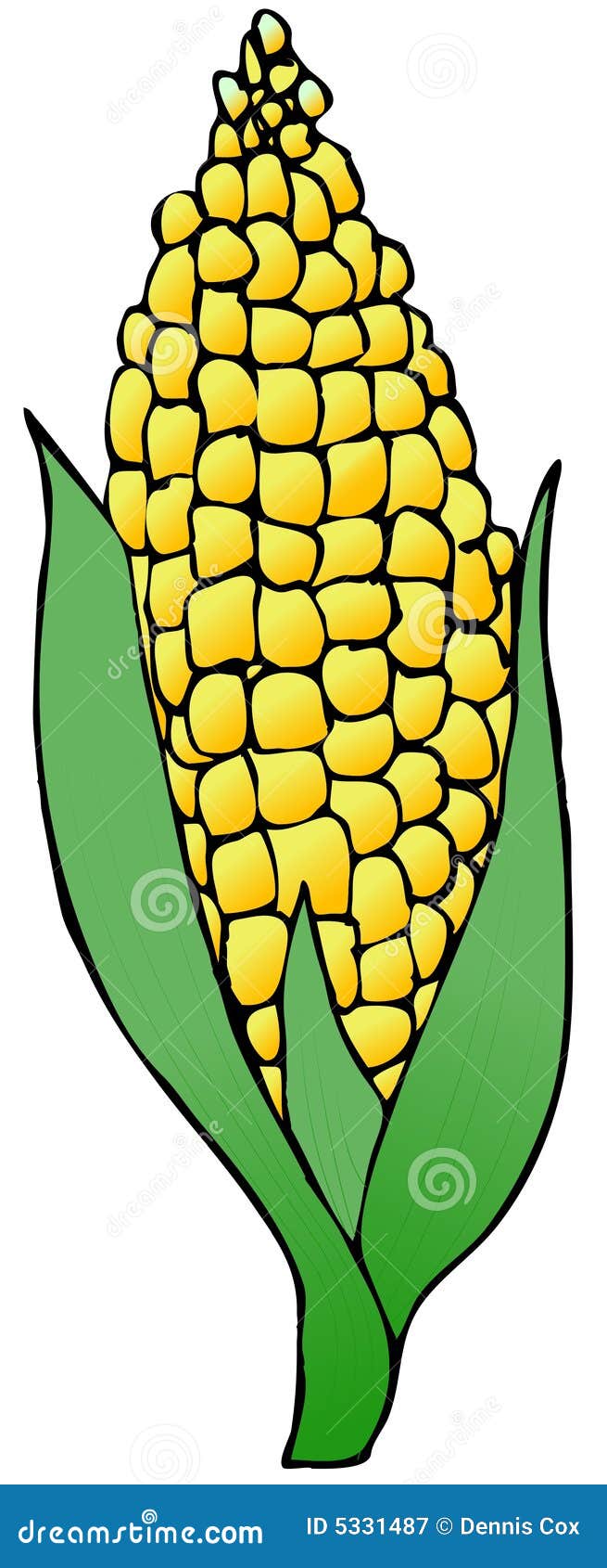Corn Ear Clipart Kids