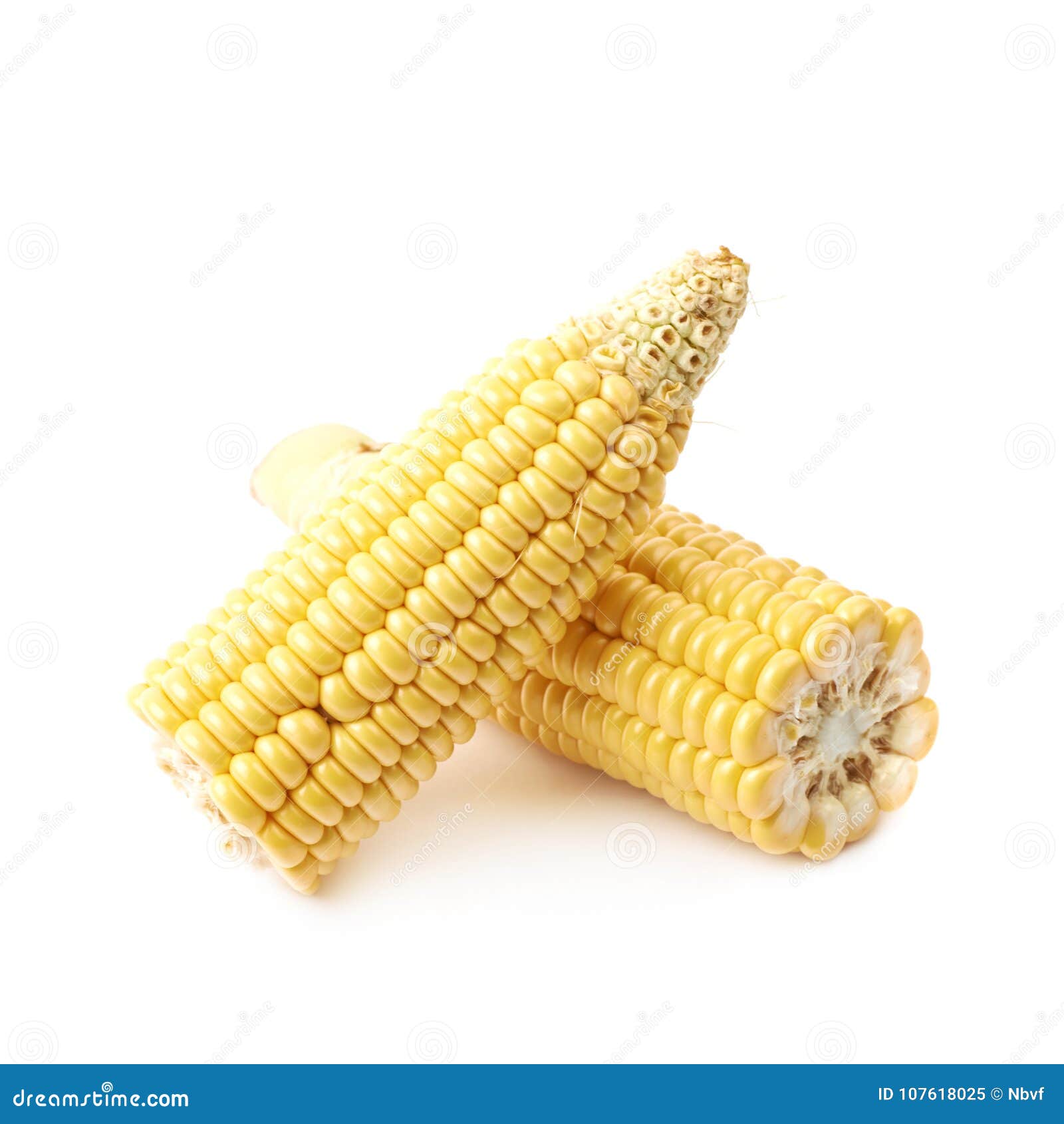 Ear of Corn Corncob Isolated Stock Image - Image of healthy, detail ...