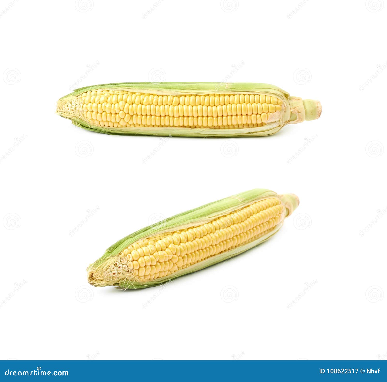 Ear of Corn Corncob Isolated Stock Image - Image of corn, green: 108622517