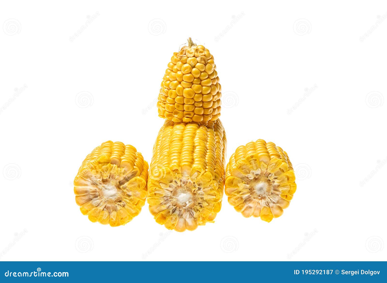Ear of Corn Cut into Several Pieces Isolated on White Background Stock ...