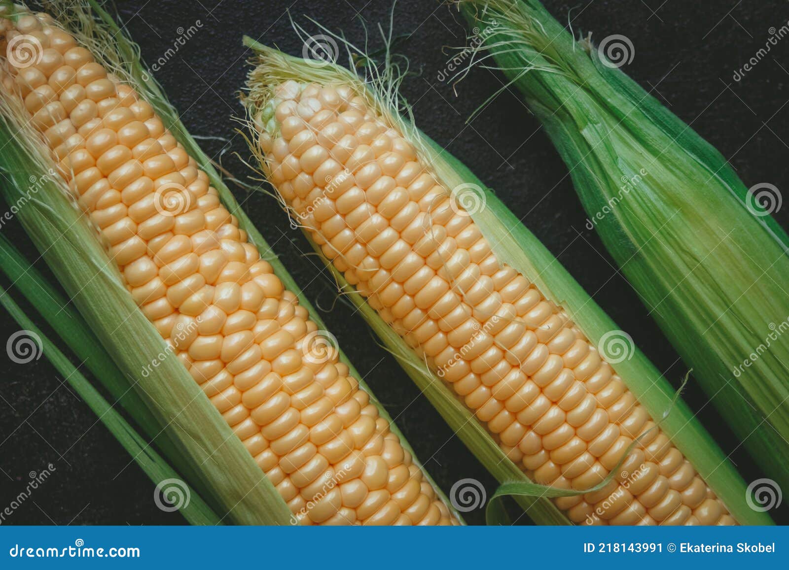 Ear of Corn on a Dark Background Stock Image - Image of produce ...