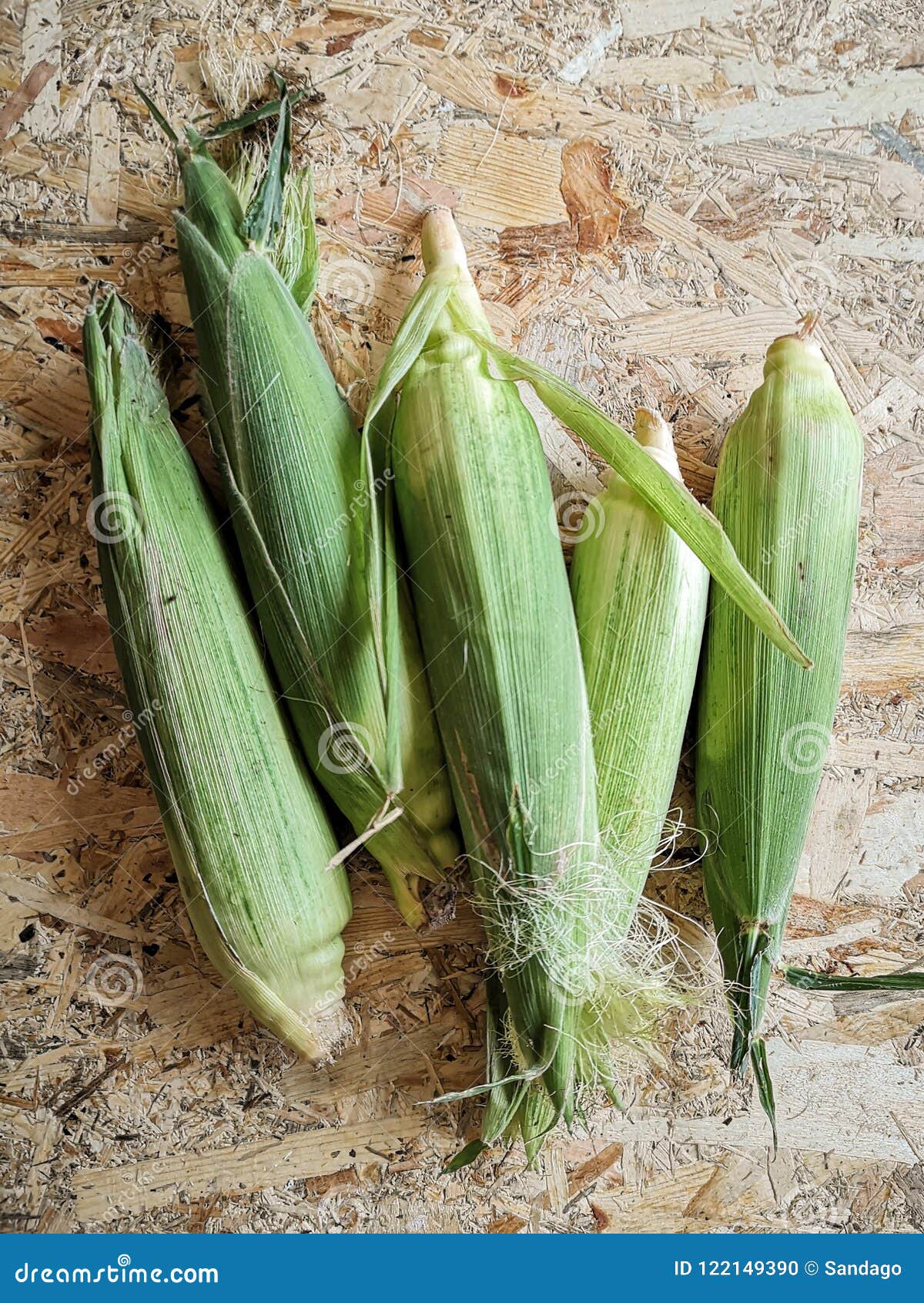 Ear of corn stock photo. Image of maize, mexico, green - 122149390