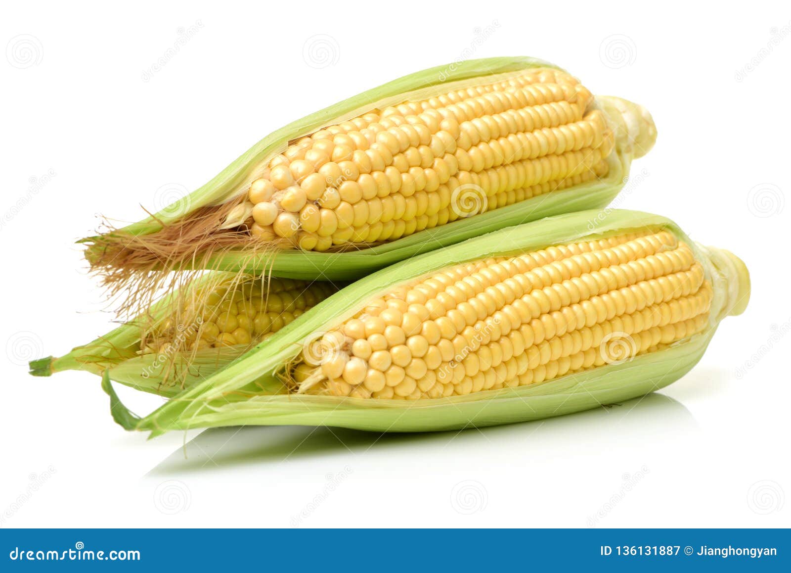 An ear of corn stock image. Image of healthy, background - 136131887