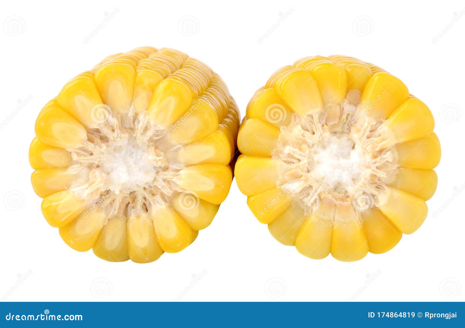 Ear of Corn stock image. Image of shot, eating, husk - 174864819