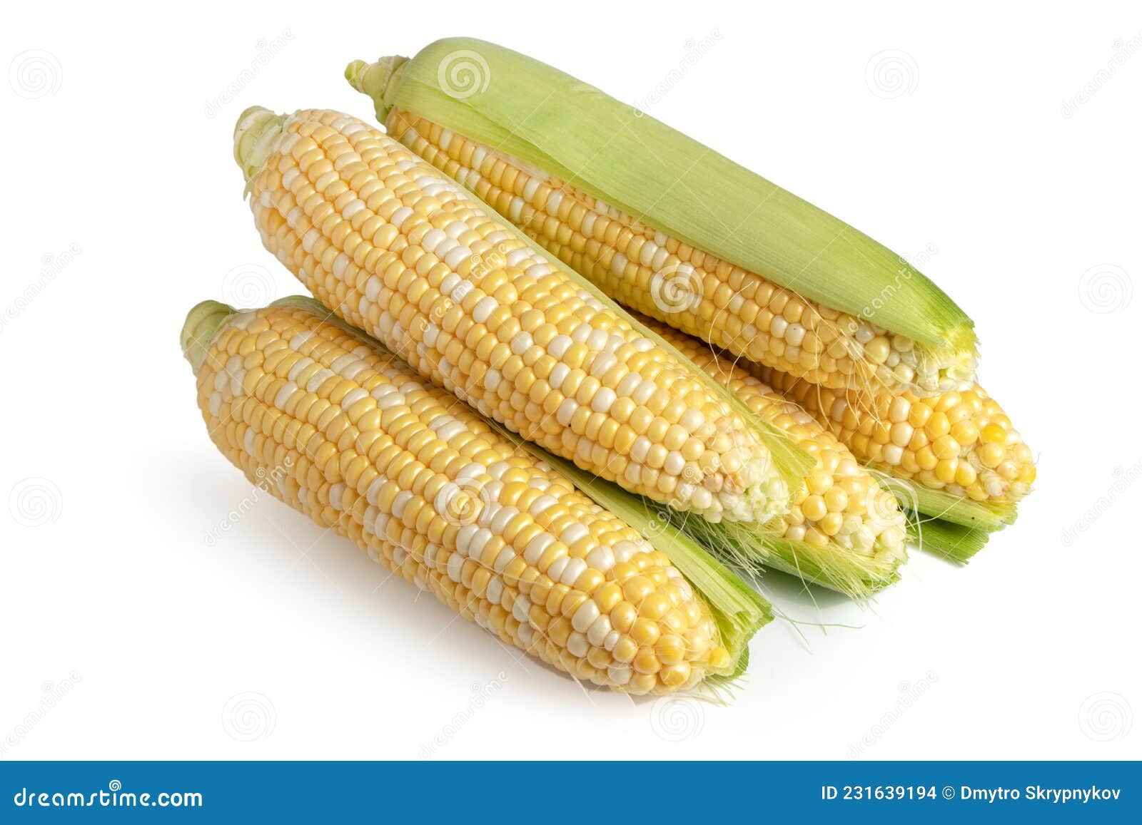 An Ear of Corn Isolated on a White Background Stock Photo - Image of ...