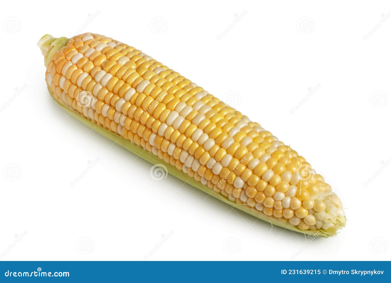 An Ear of Corn Isolated on a White Background Stock Image - Image of ...