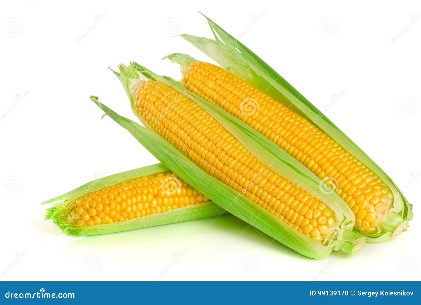 Ear of Corn Isolated on a White Background Stock Photo - Image of gold ...