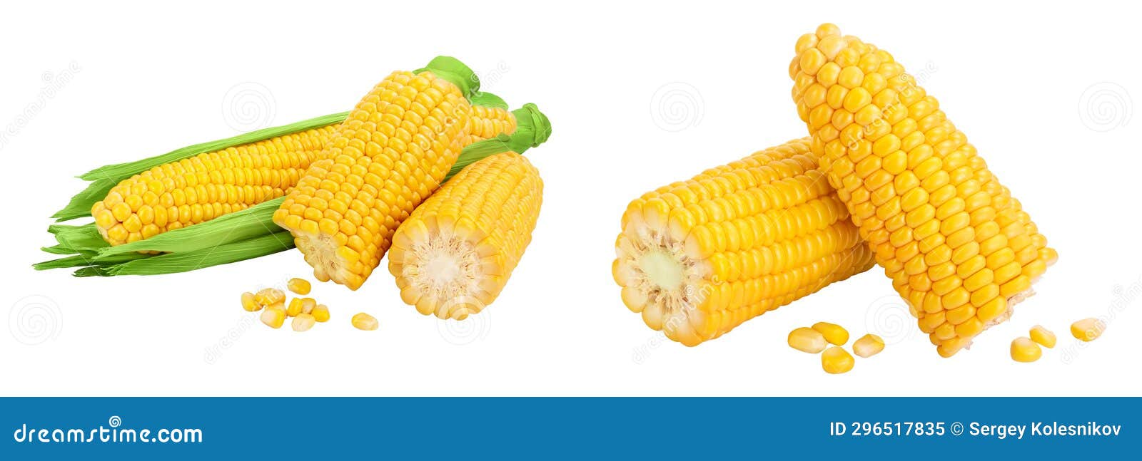 Ear of Corn Isolated on a White Background. Clipping Path and Full ...