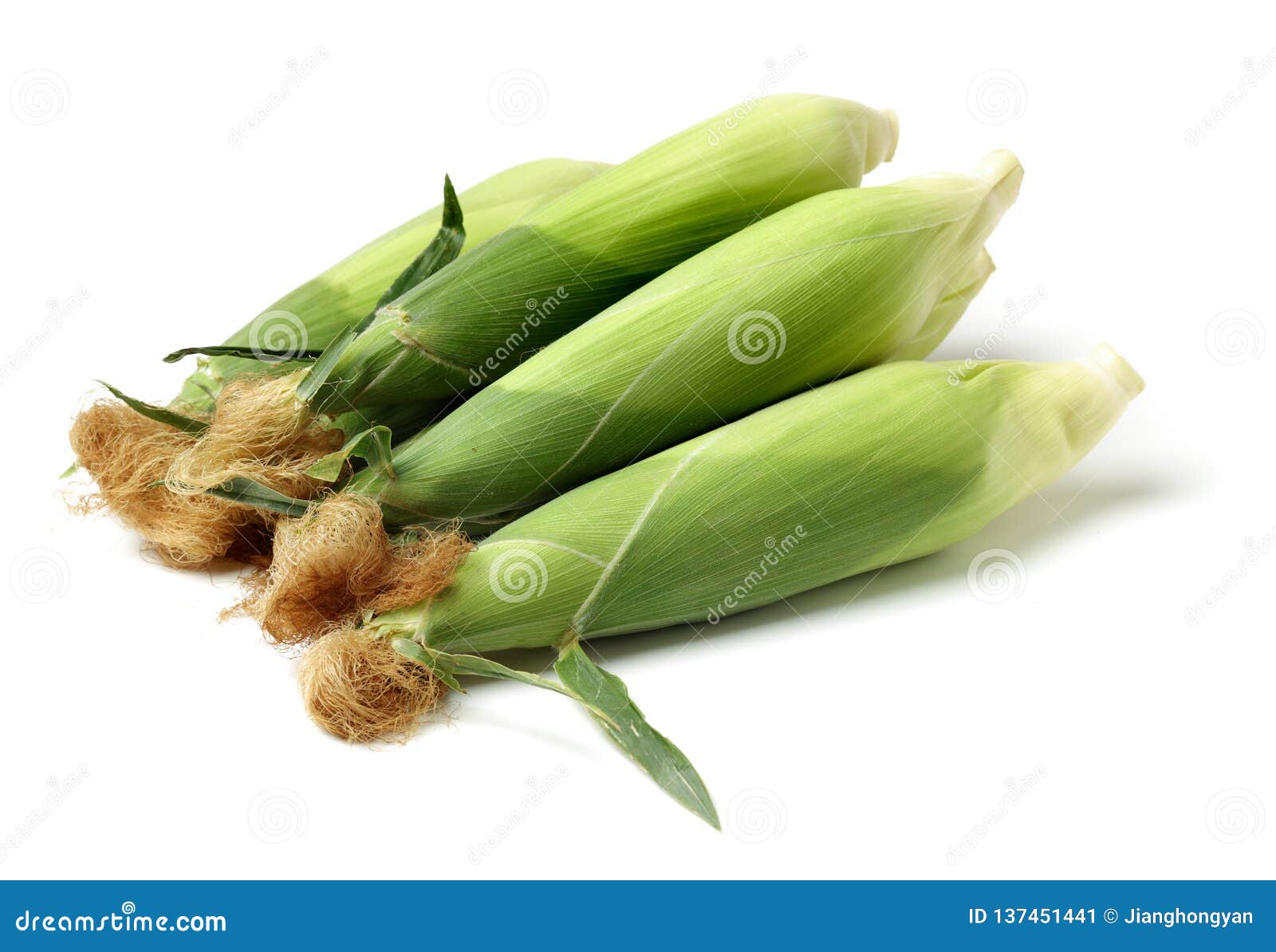 An ear of corn stock image. Image of ingredient, golden - 137451441