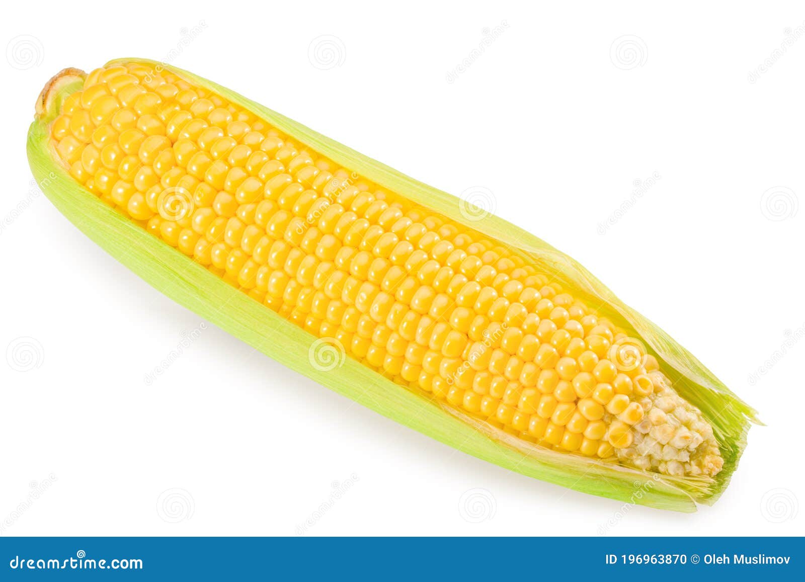 An Ear of Corn Isolated on a White Background Stock Photo - Image of ...