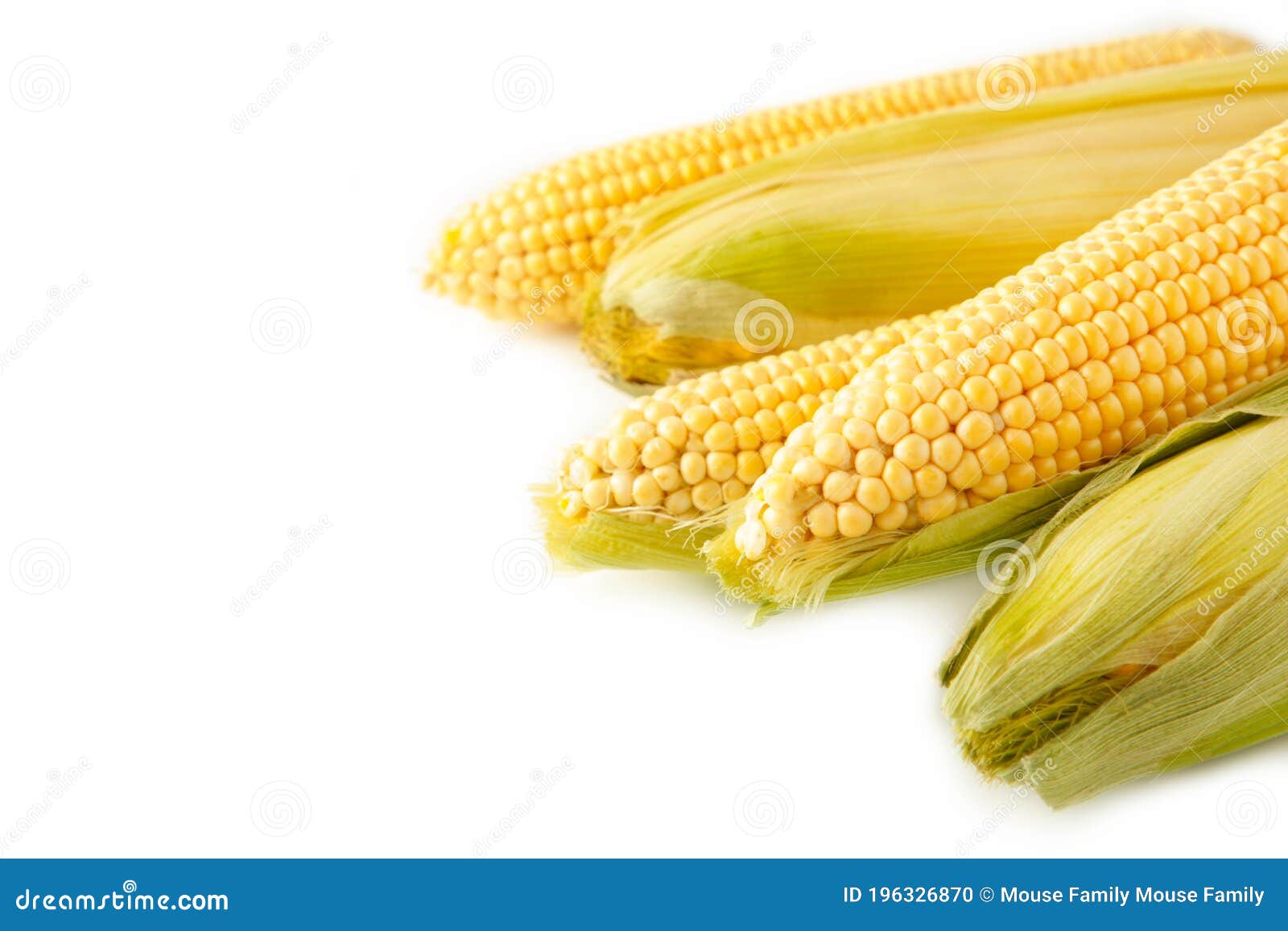 An Ear of Corn Isolated on a White Background Stock Photo - Image of ...