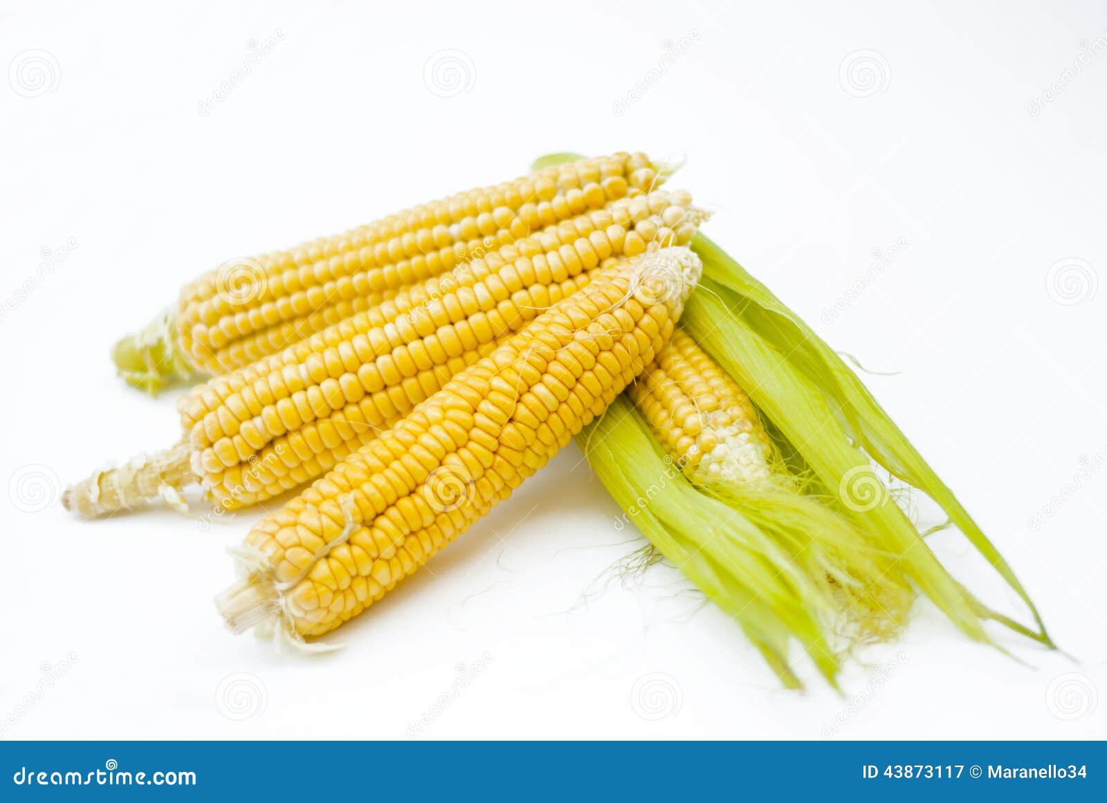 Ear of Corn with Leaves stock image. Image of bright - 43873117