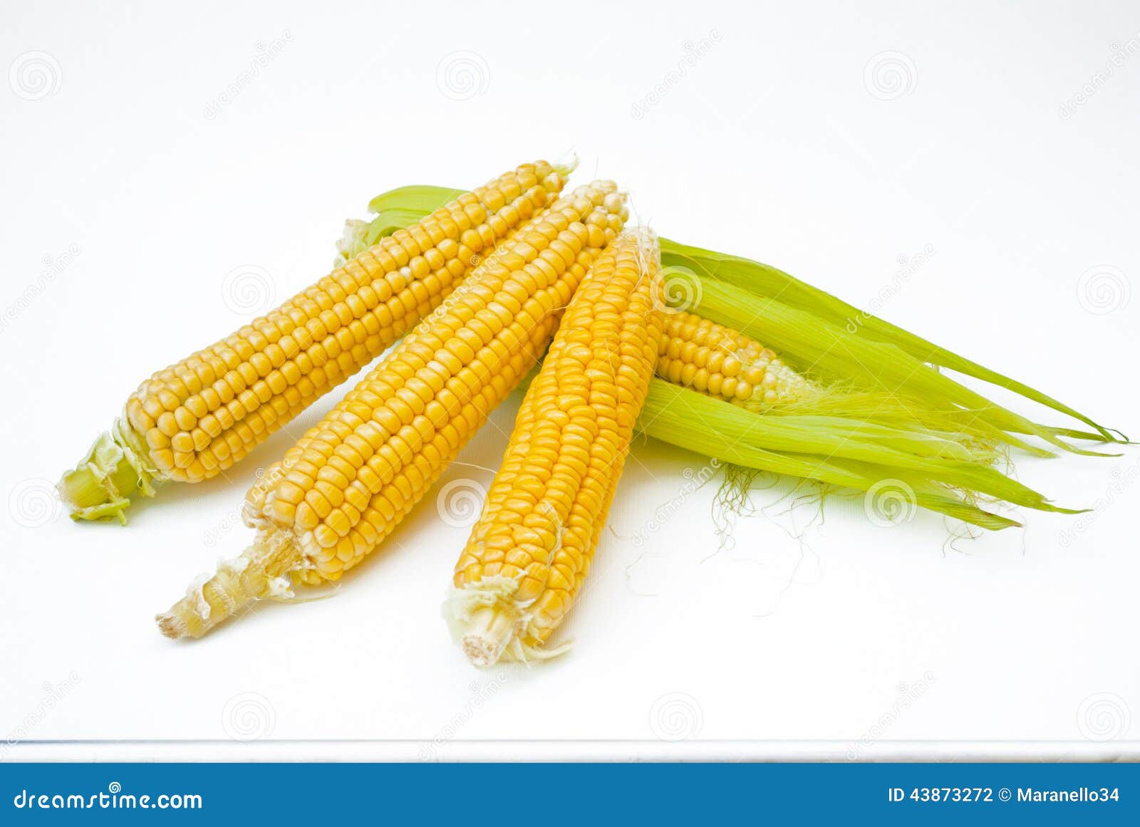 Ear of Corn with Leaves stock photo. Image of agriculture - 43873272