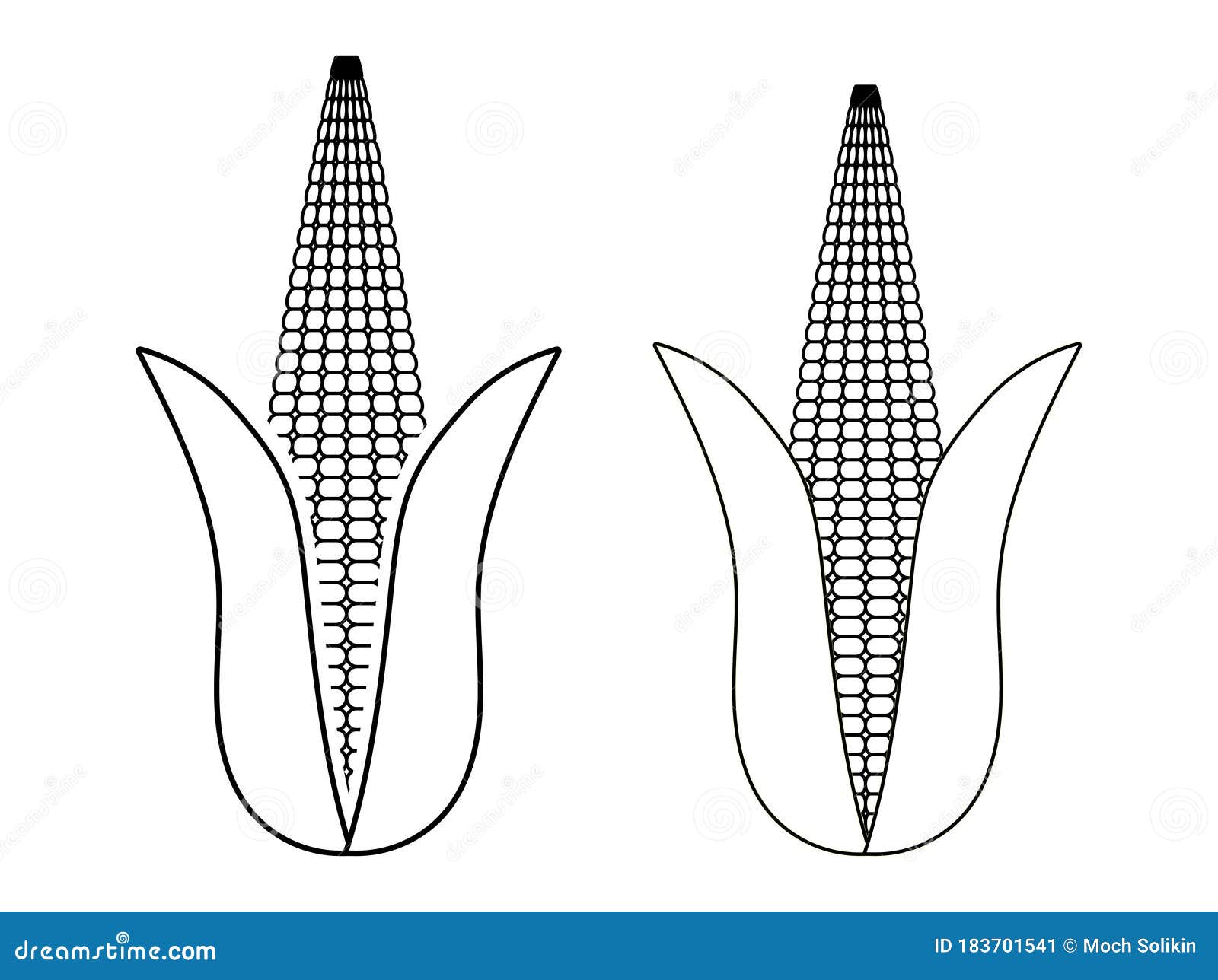Ear Of Corn / Maize Line Art On A Transparent Background Cartoon Vector ...