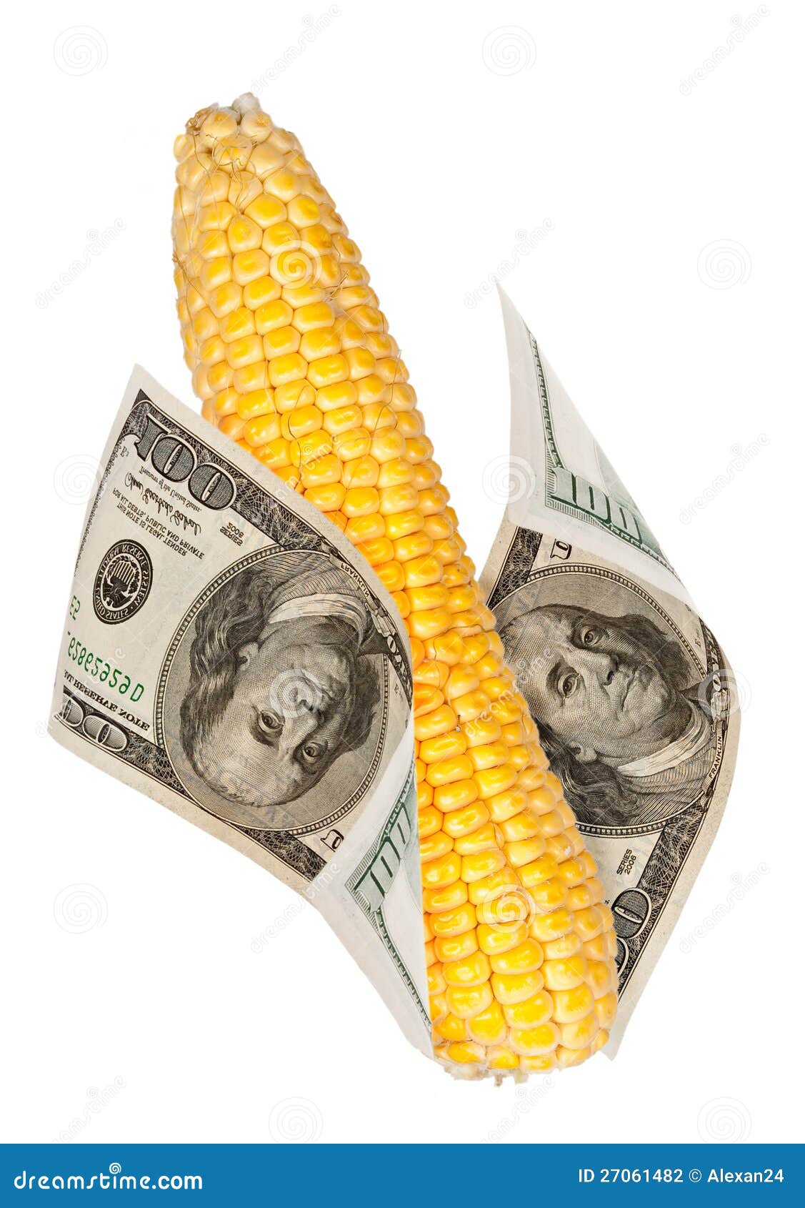 An Ear of Corn with the Money Stock Photo - Image of harvest, food ...